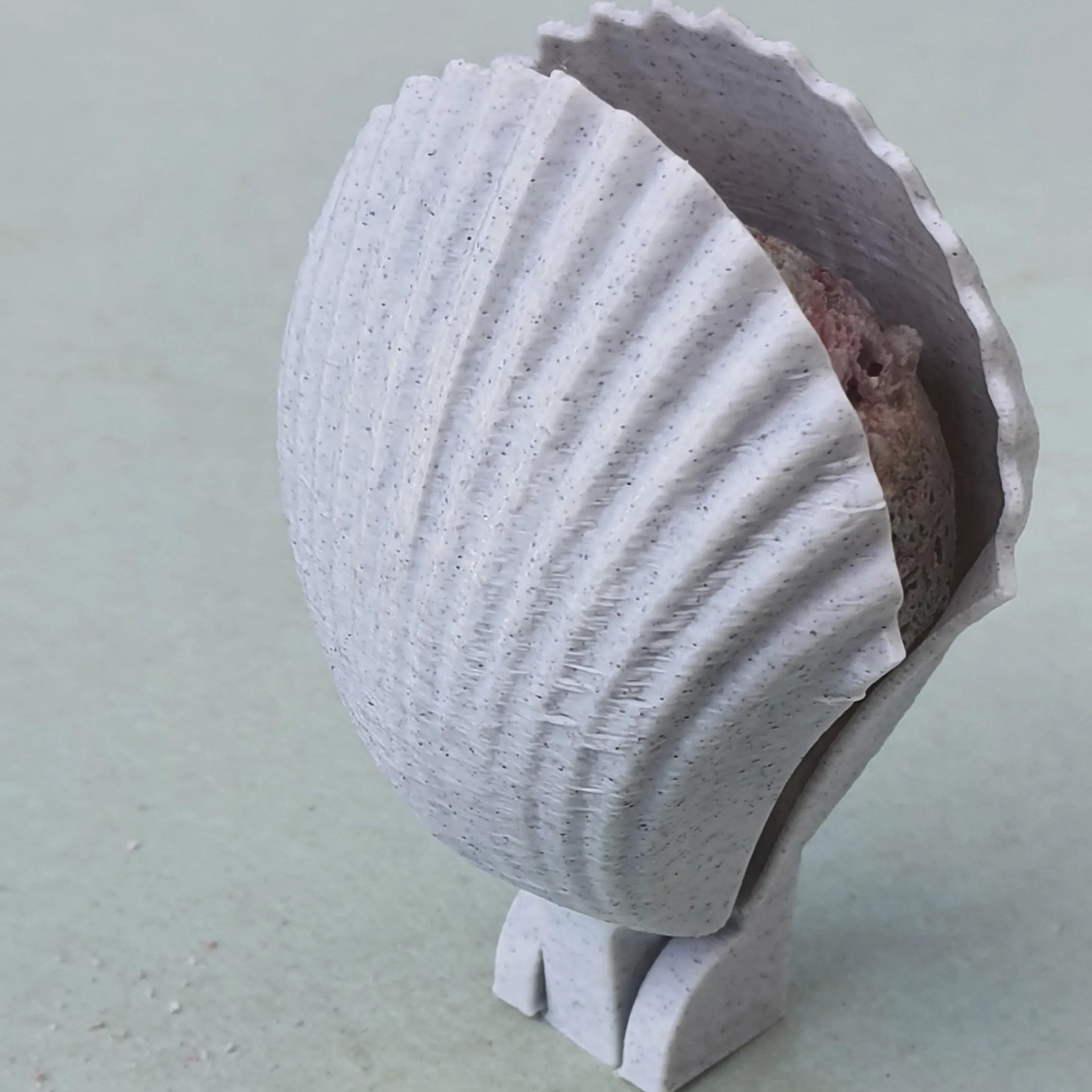 Container for soap bombs in the shape of a sea shell | 3D models ...