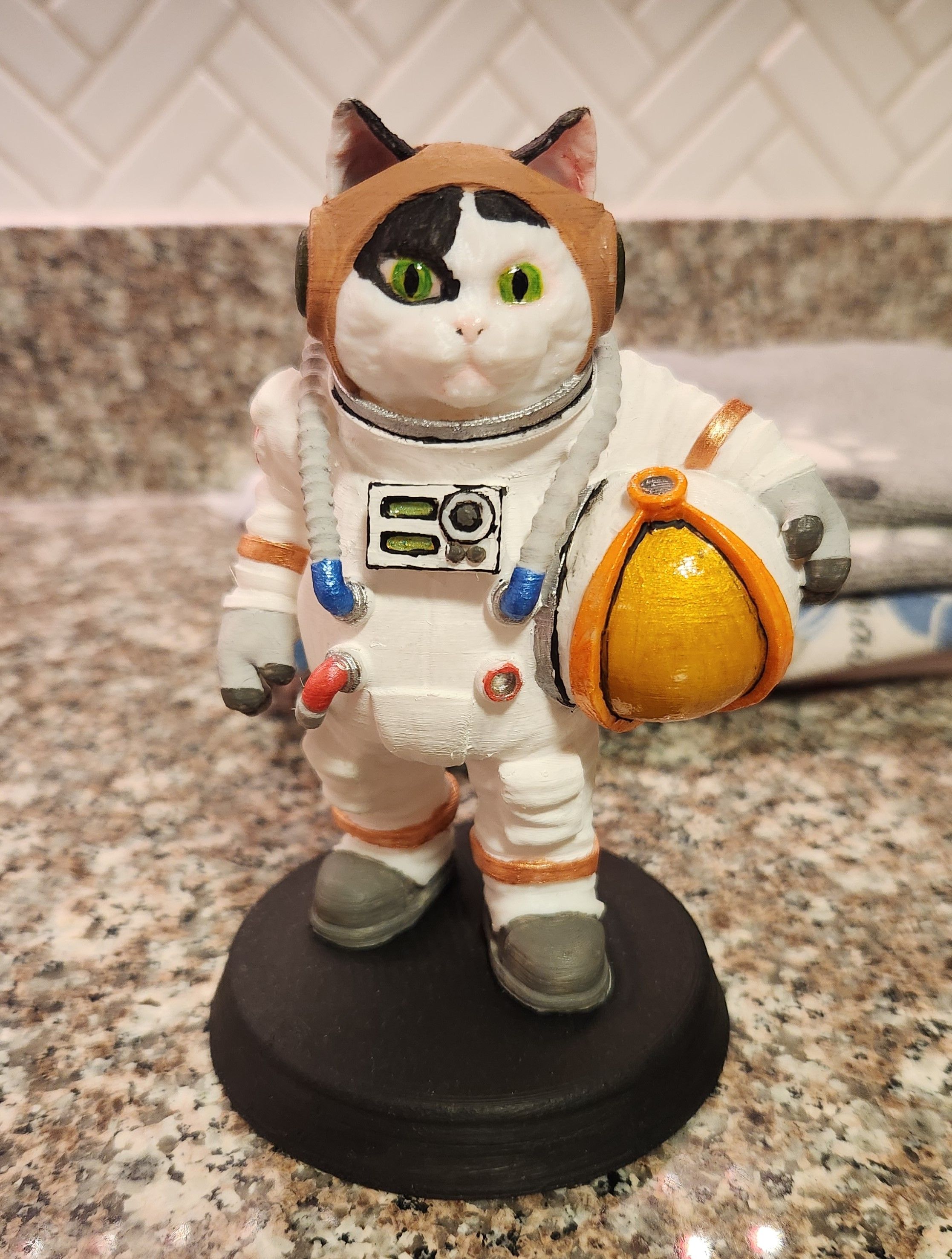 I had a cat by the name of Spaceman. this was too good to pass by ...