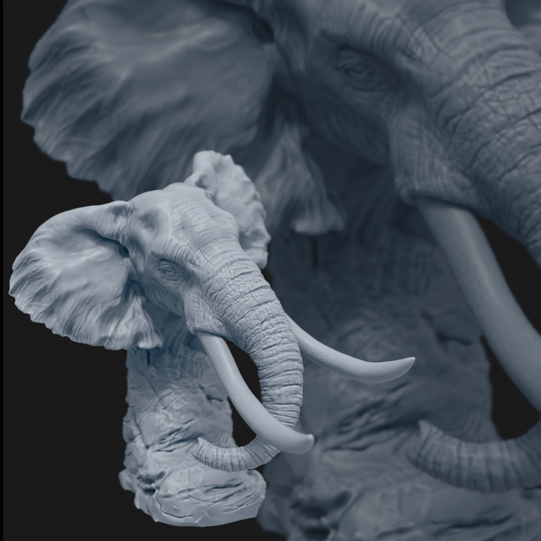 3D Printer Files | 3MF File | Elephant Bust: A Majestic Tribute to the Gentle Giant | Creality Cloud