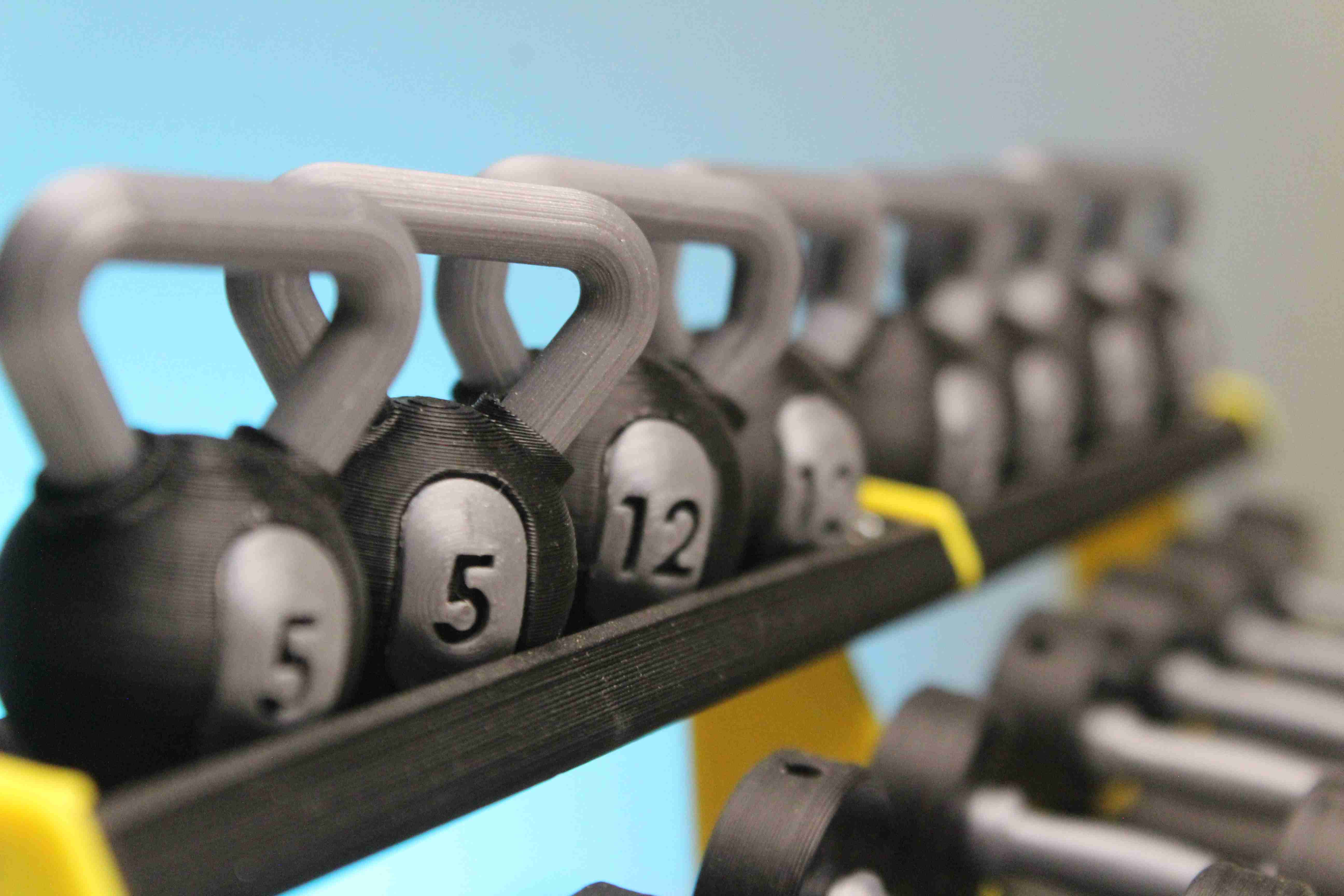 MINI DUMBBELL RACK buy 1 model & get 24 free model easy to p | 3D ...