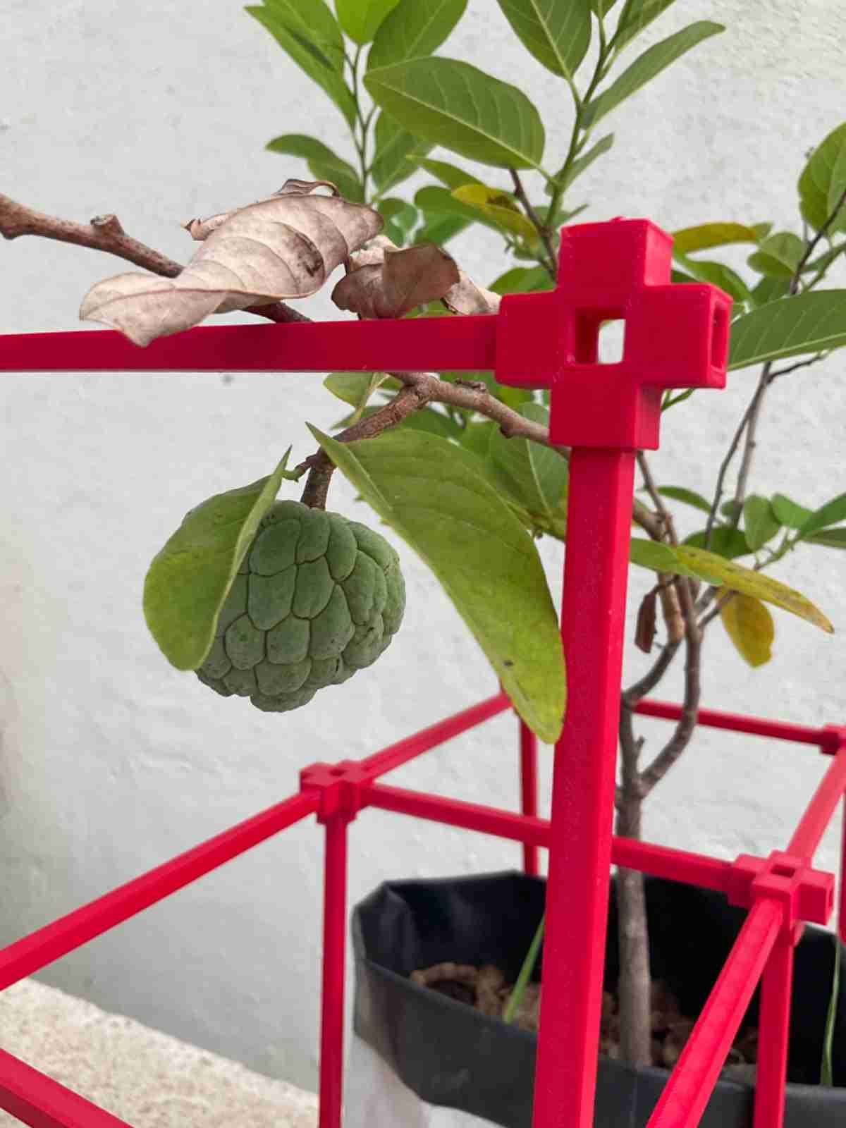 3DP Modular Trellis System. | 3D models download | Creality Cloud