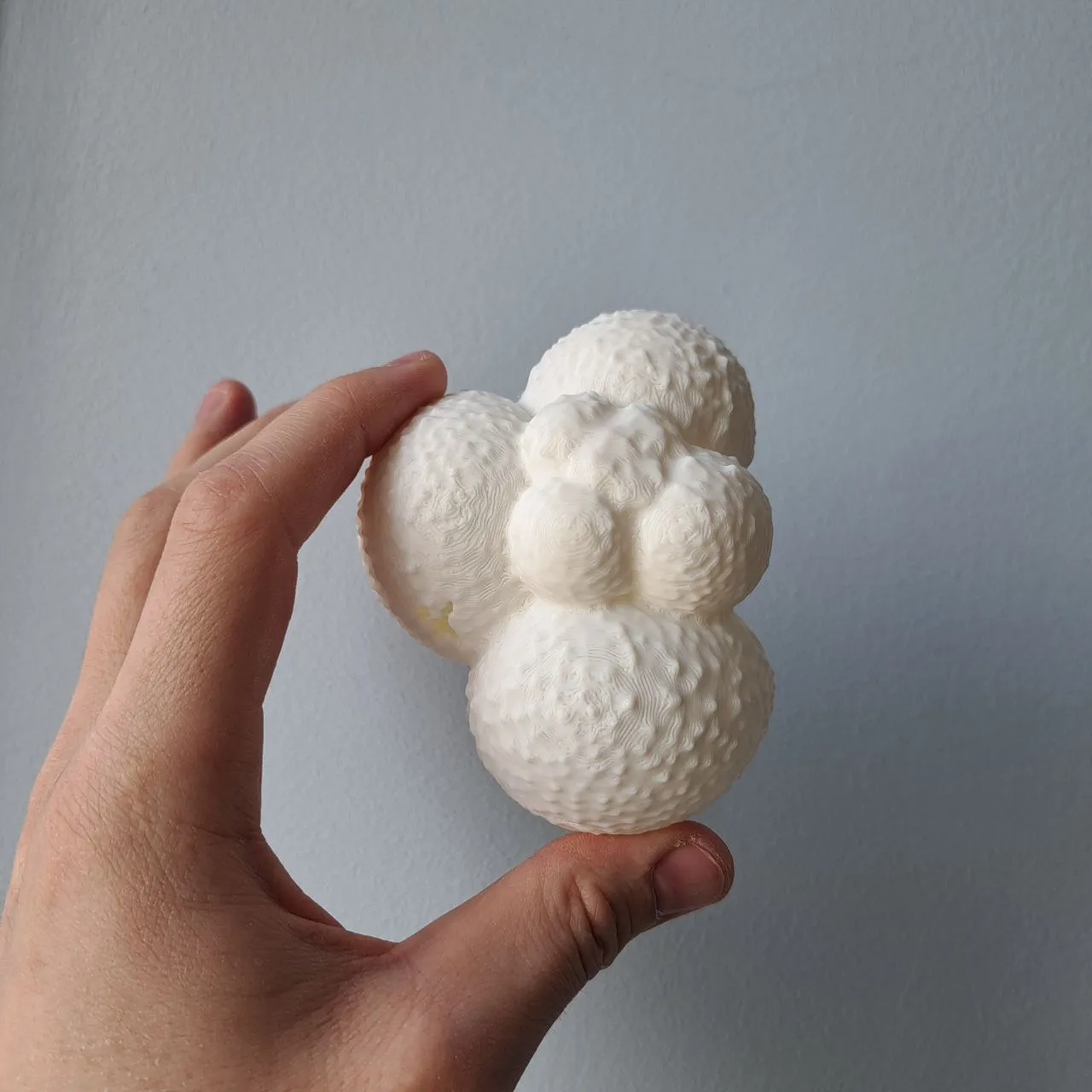 And here we have a tiny foraminifera shell - Globigerina bulloides ...