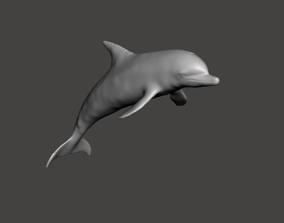 DOLPHIN 3D MODEL | 3D models download | Creality Cloud
