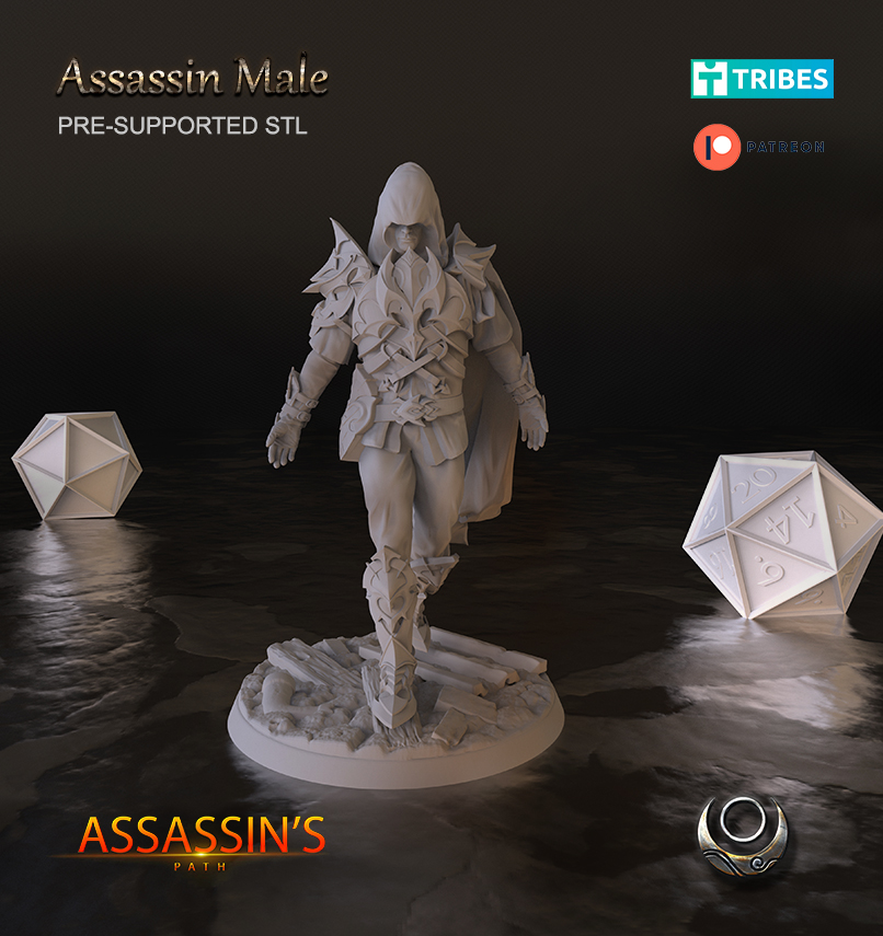 Assassin Male | 3D models download | Creality Cloud