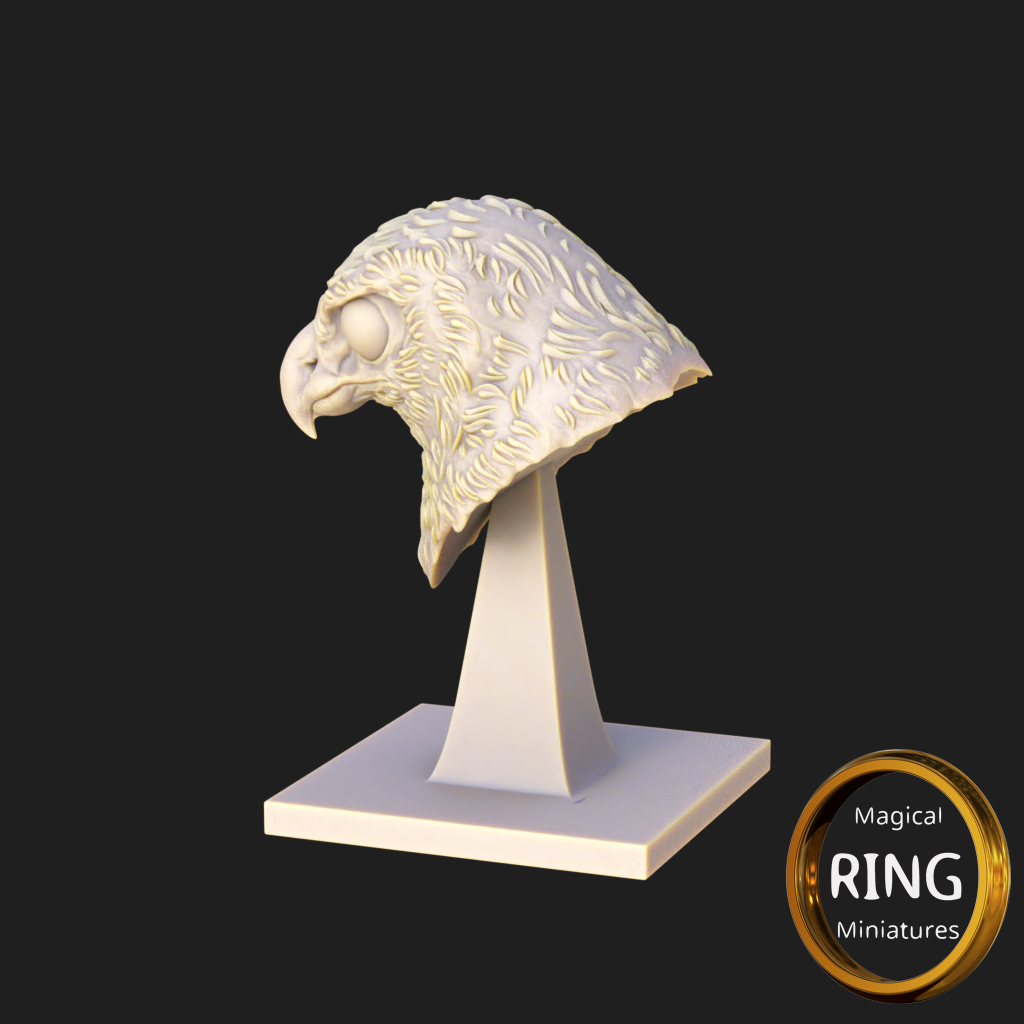 Hawk BUST | 3D models download | Creality Cloud