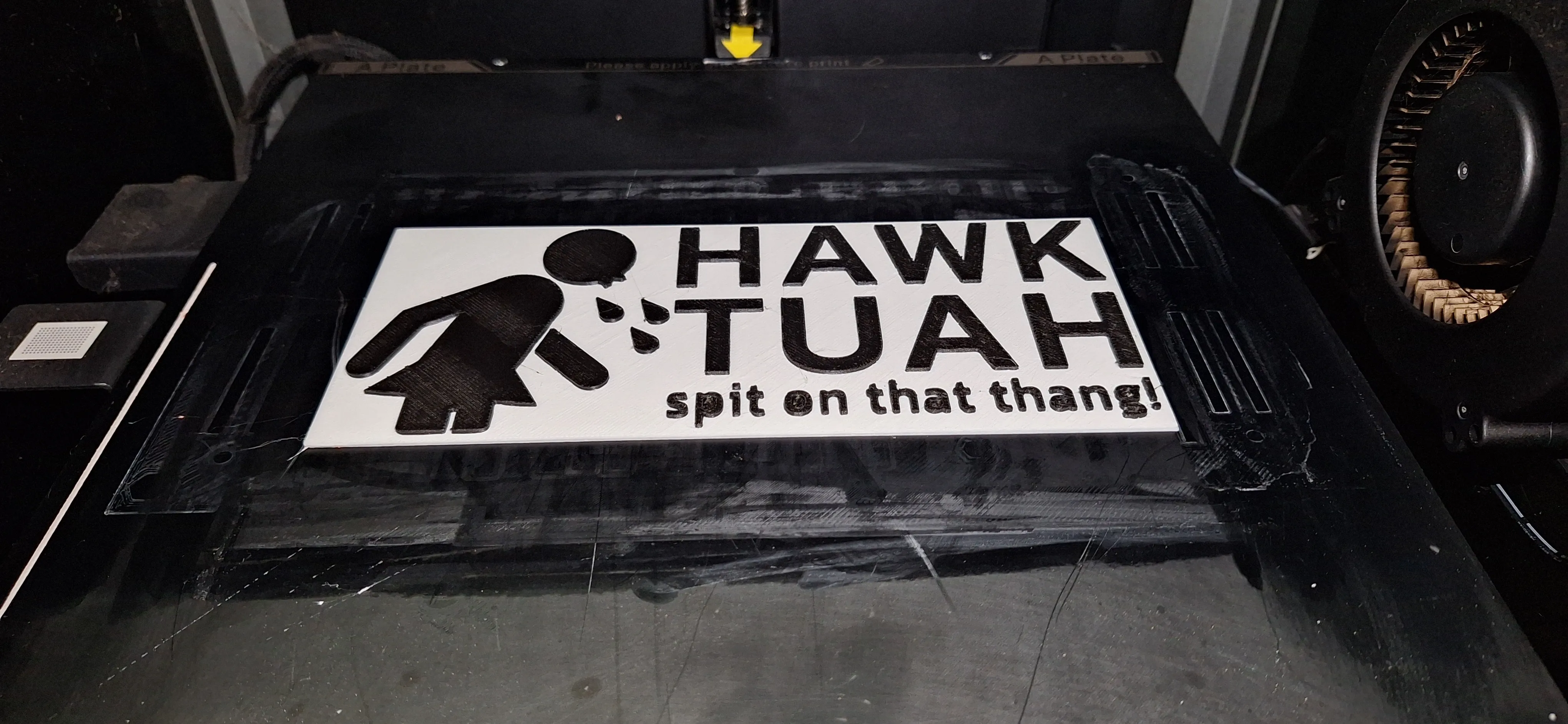 Digital Art STL Download - Hawk Tuahby RCalin