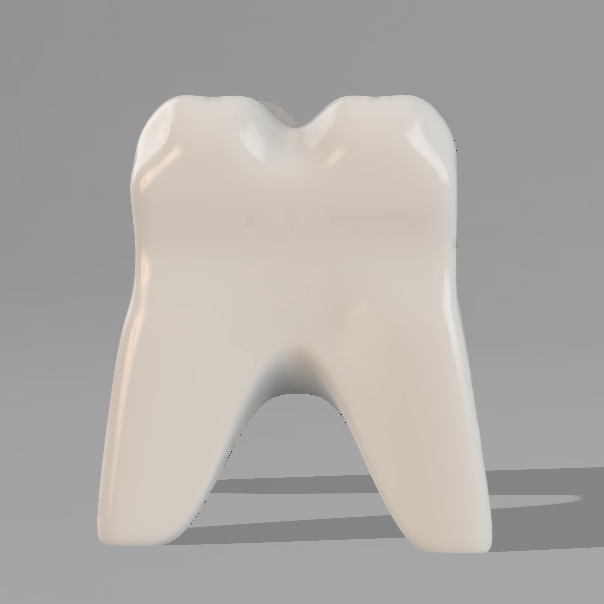 Tooth Pencil Holder | 3D models download | Creality Cloud