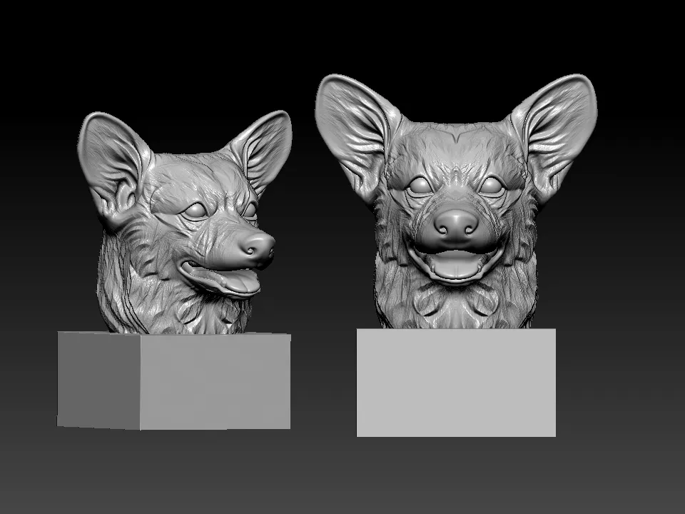 Characters & Creatures STL Download - Head References Pembroke Welsh ...