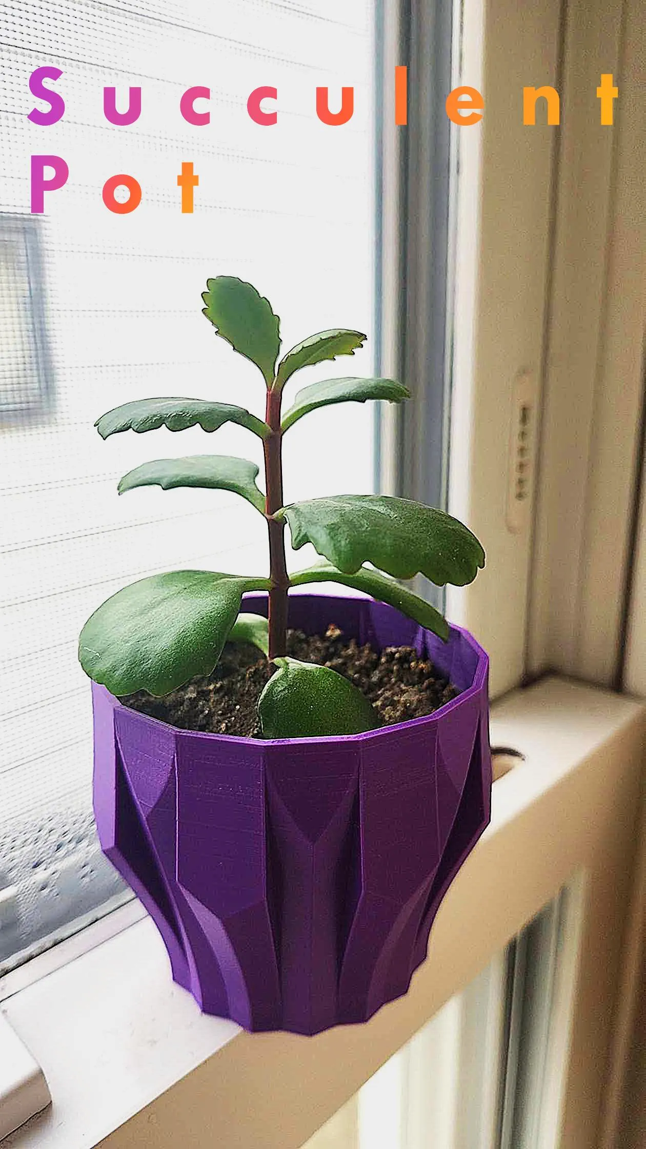 3D Printer Files | 3MF File | Succulent Pot | Creality Cloud