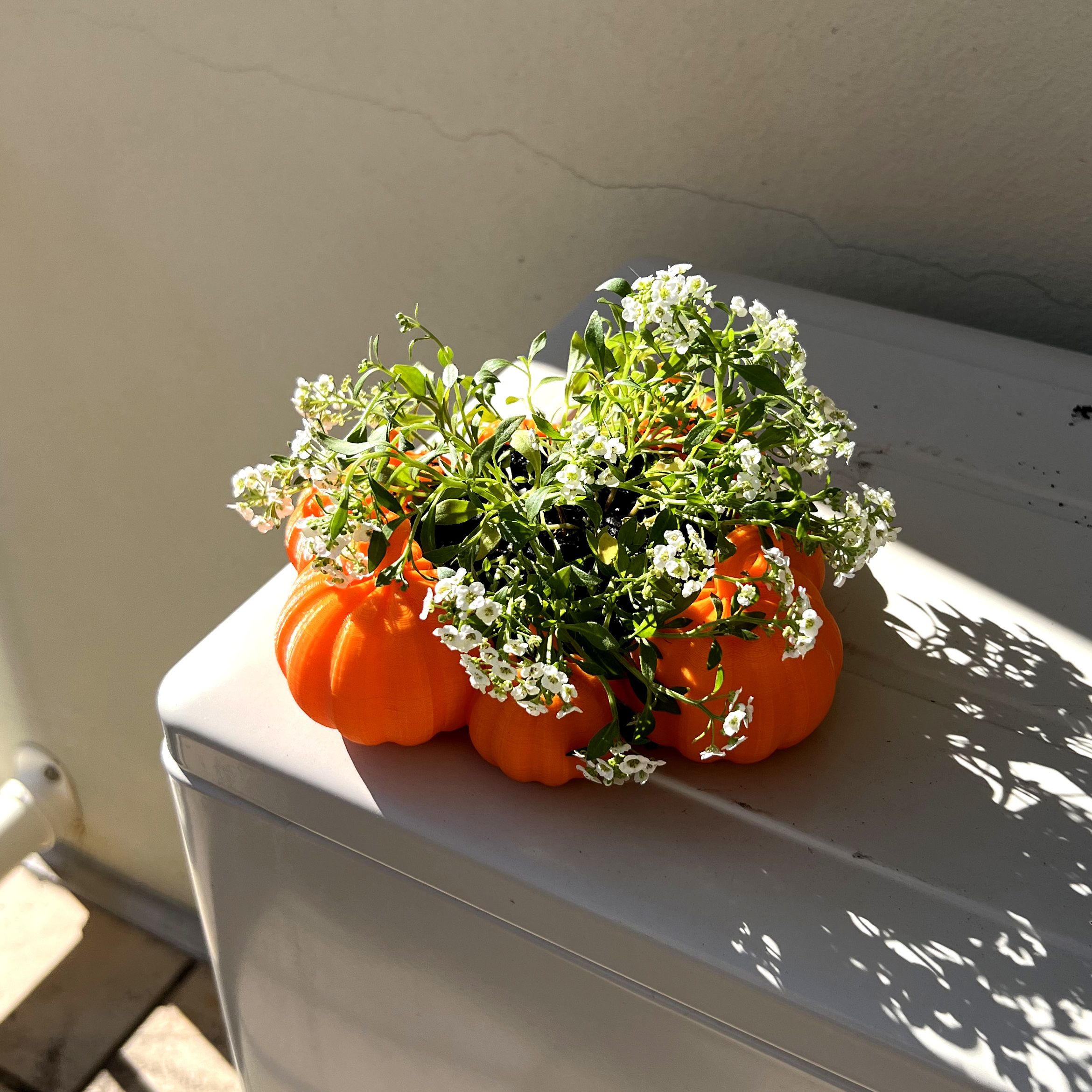 Pumpkin patch planter | 3D models download | Creality Cloud