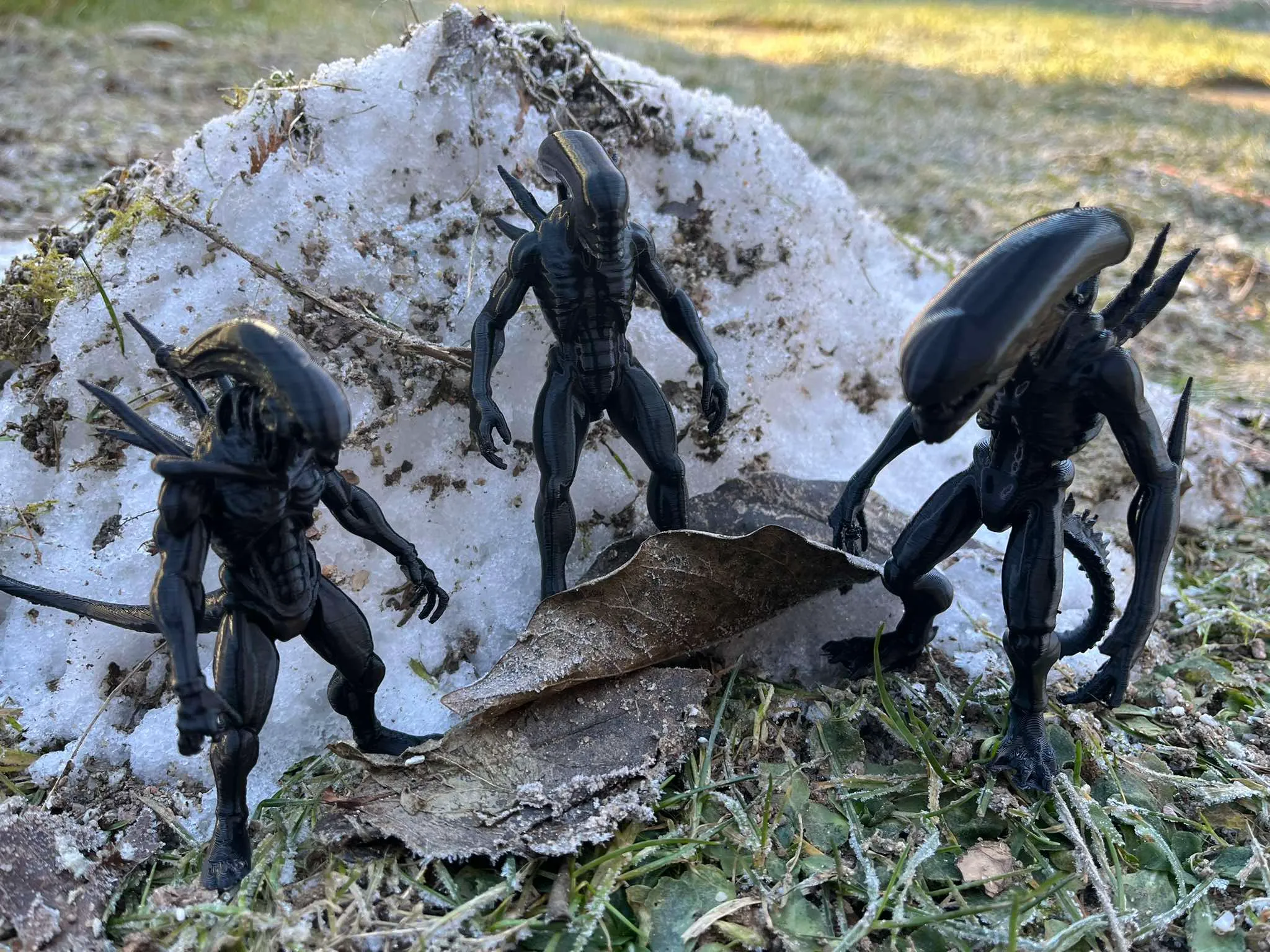 3D Printer Files | 3MF File | Xenomorph, Alien, Intruder | Creality Cloud