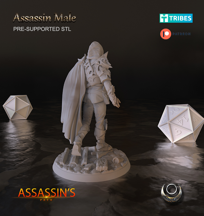 Assassin Male | 3D models download | Creality Cloud