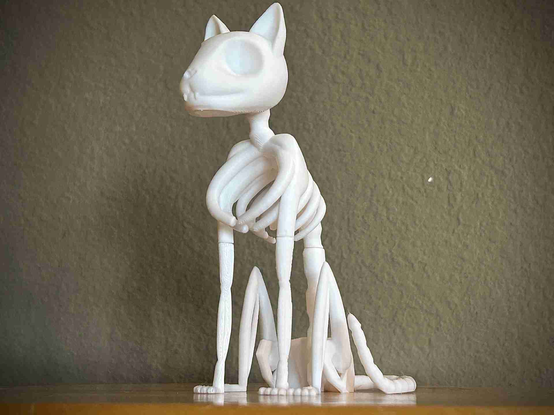 Stylized Cat Skeleton | 3D models download | Creality Cloud