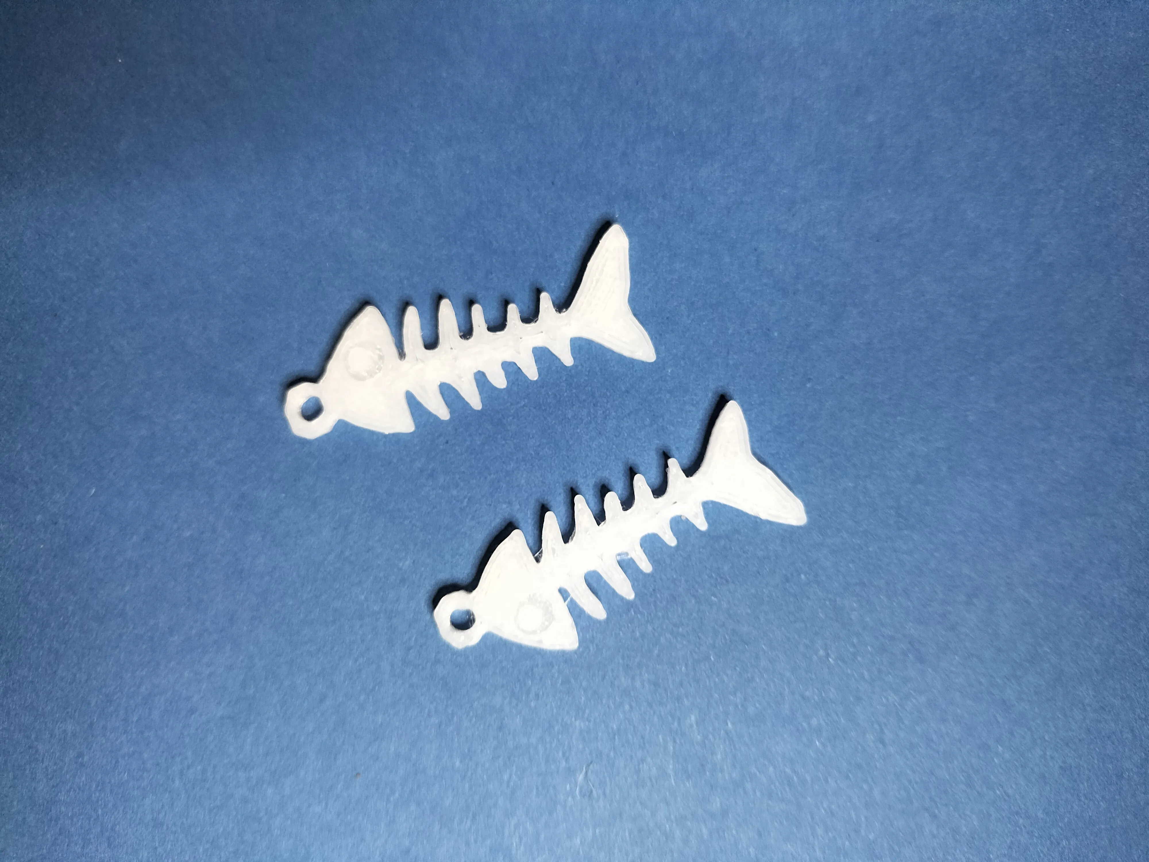 FISH SCRAPER | 3D models download | Creality Cloud