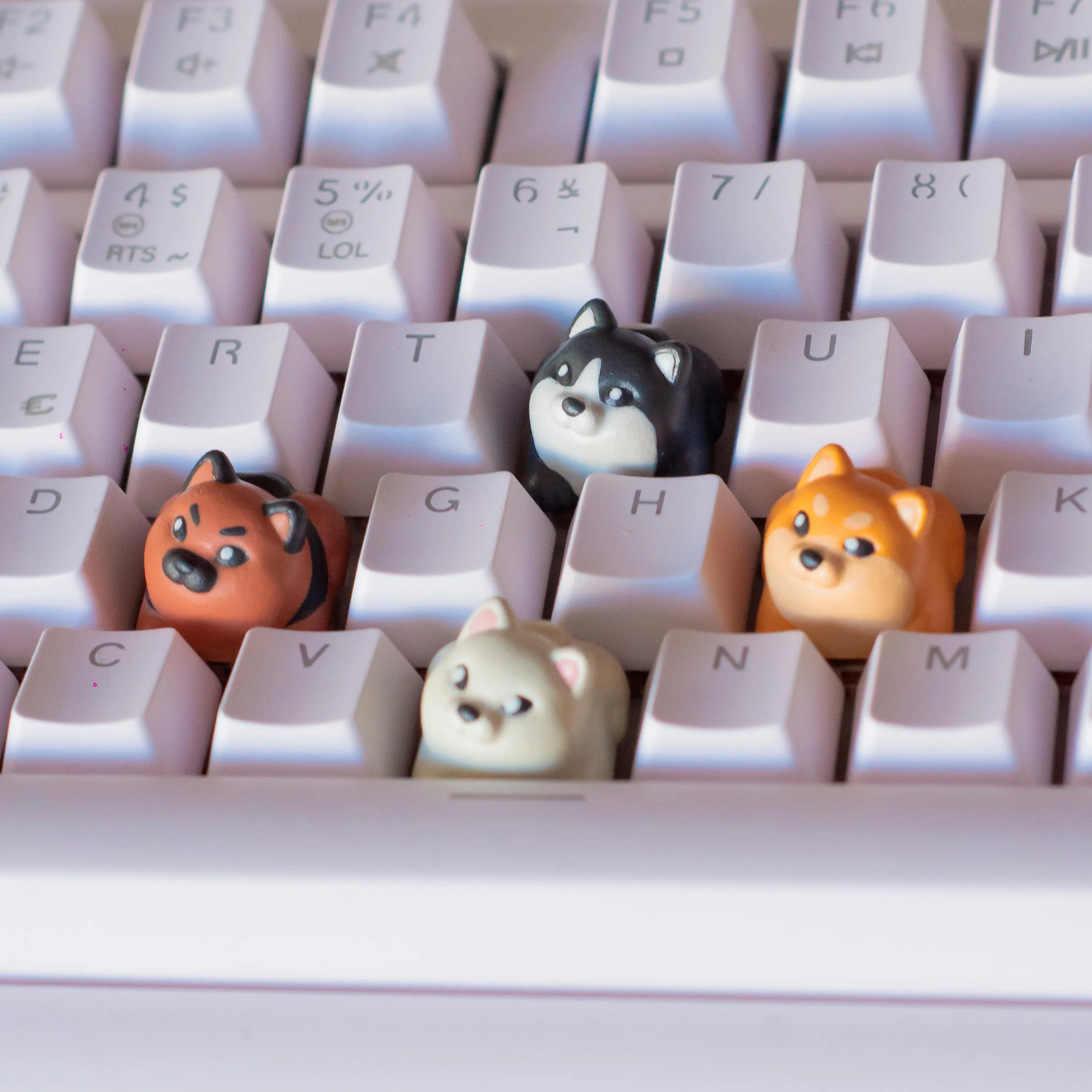 Miniature Games & Accessories STL Download - Doggies keycaps ...