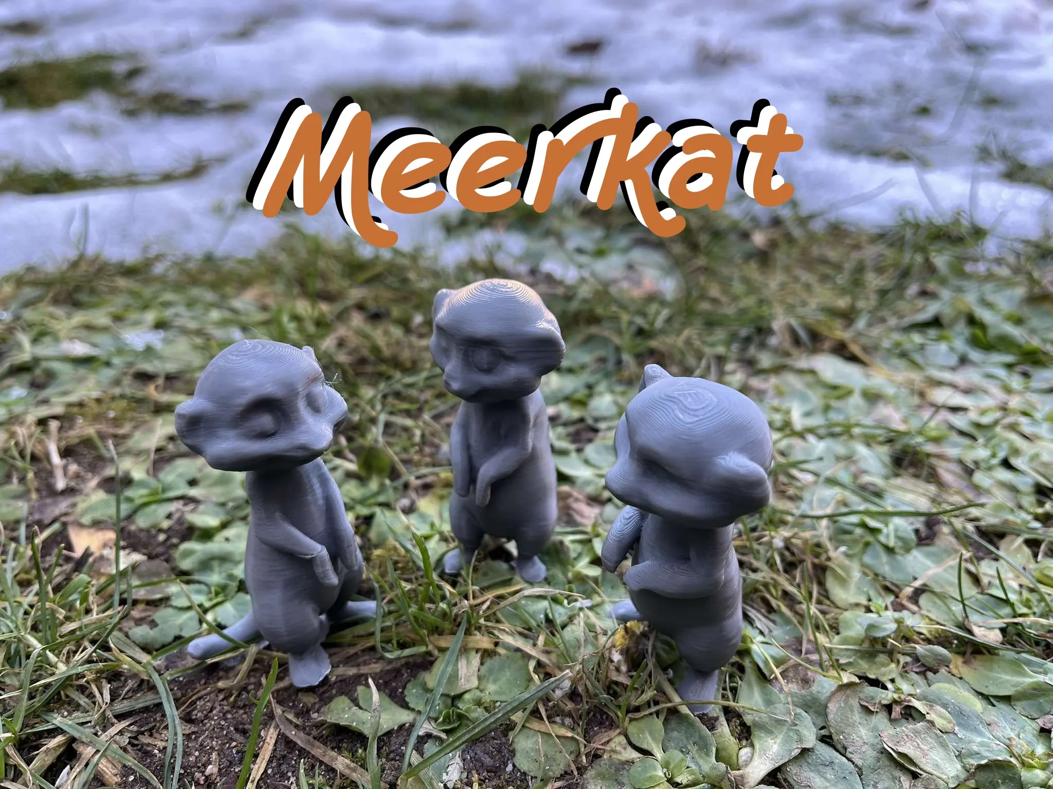 3D Printer Files | 3MF File | Cute Meerkat, Surikata | Creality Cloud