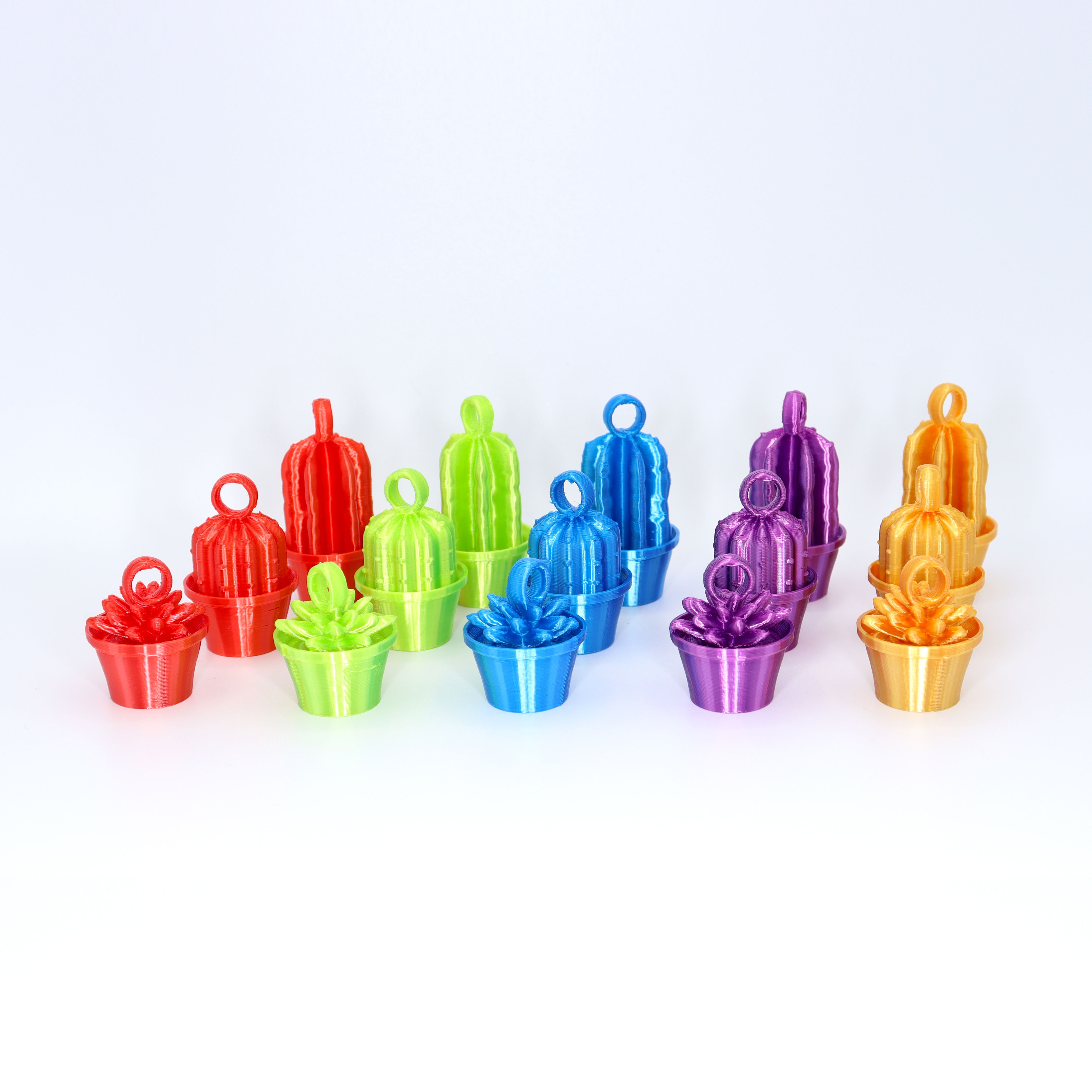 Cactus keychains | 3D models download | Creality Cloud