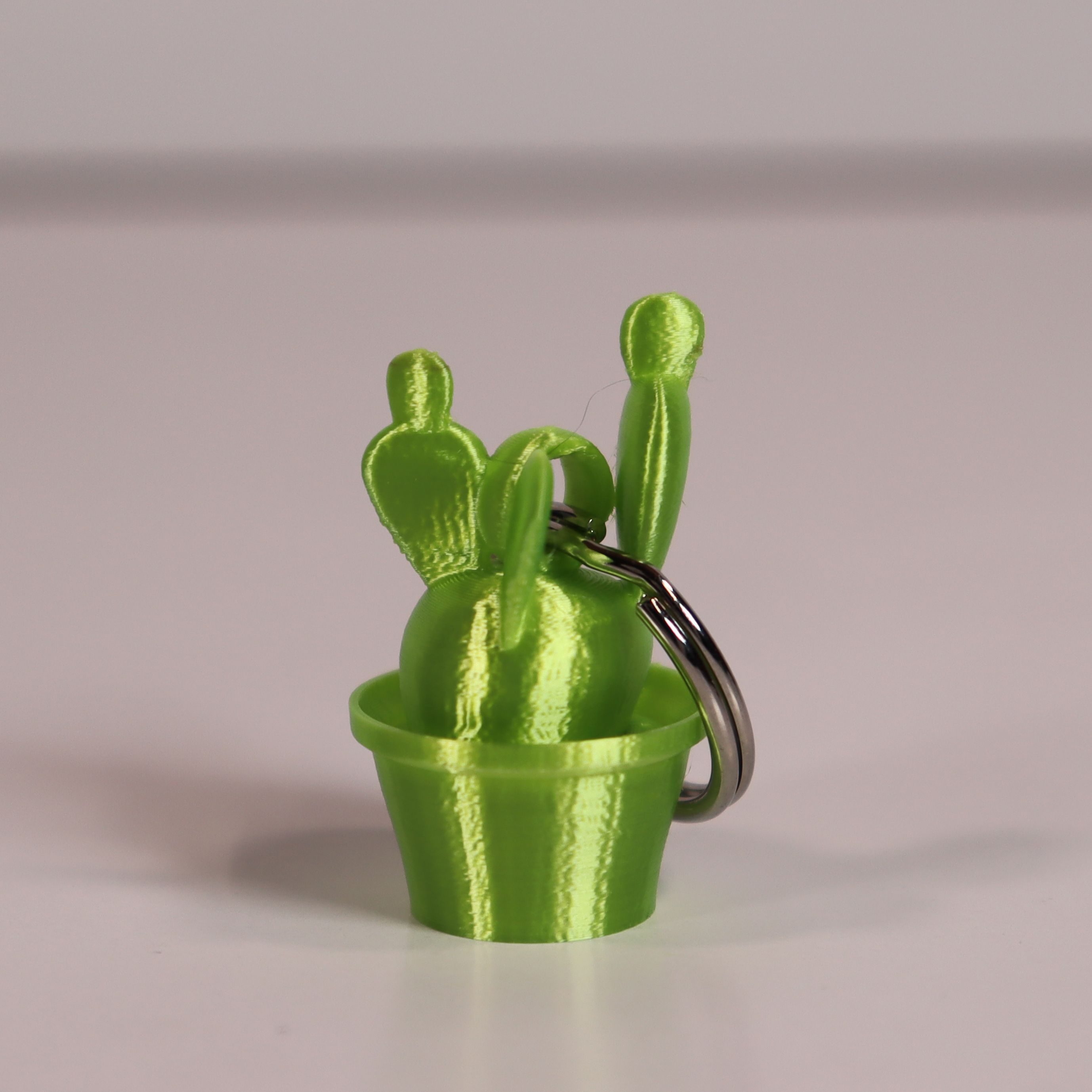 Cactus bunny ears keychain | 3D models download | Creality Cloud