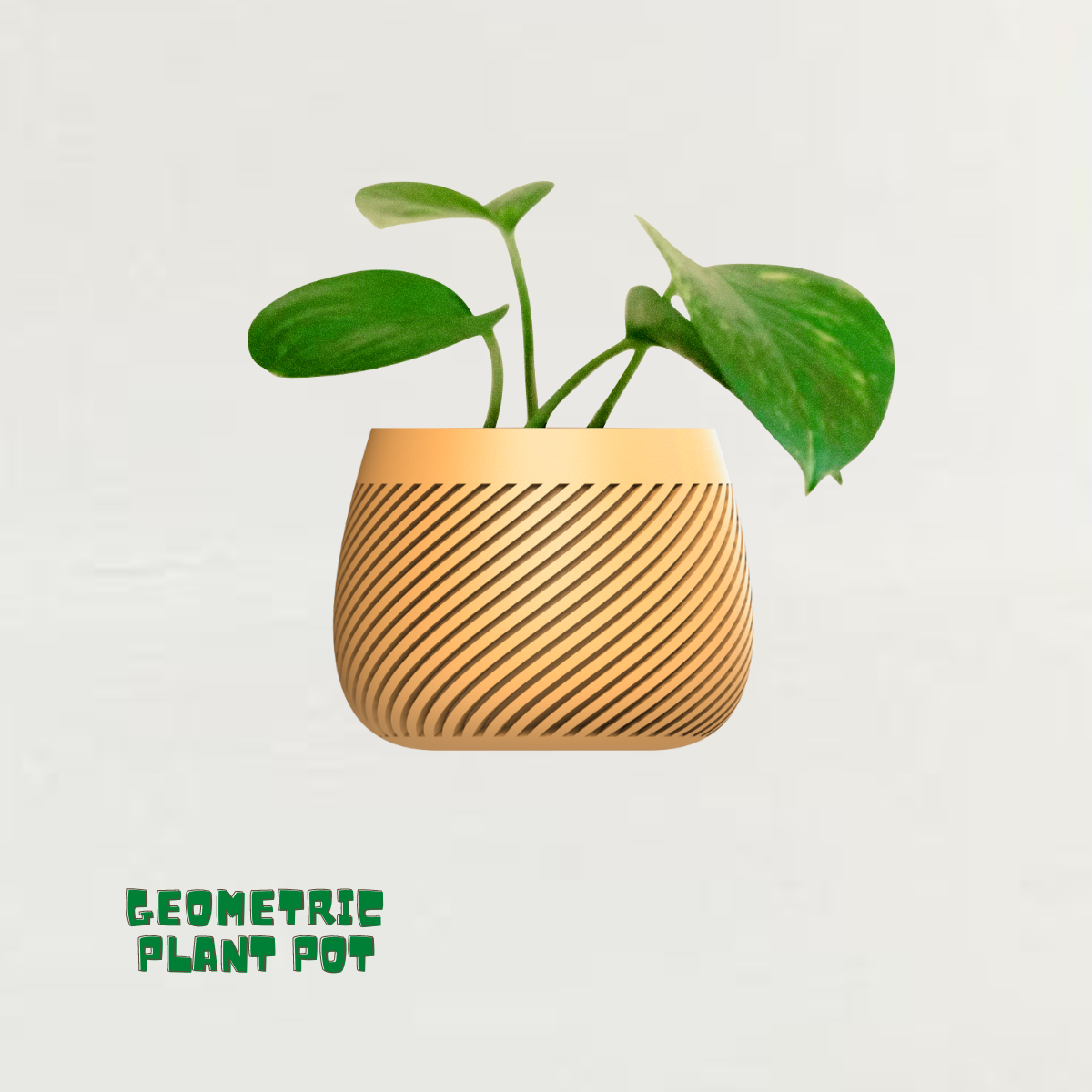 GEOMETRIC PLANT POT | 3D models download | Creality Cloud