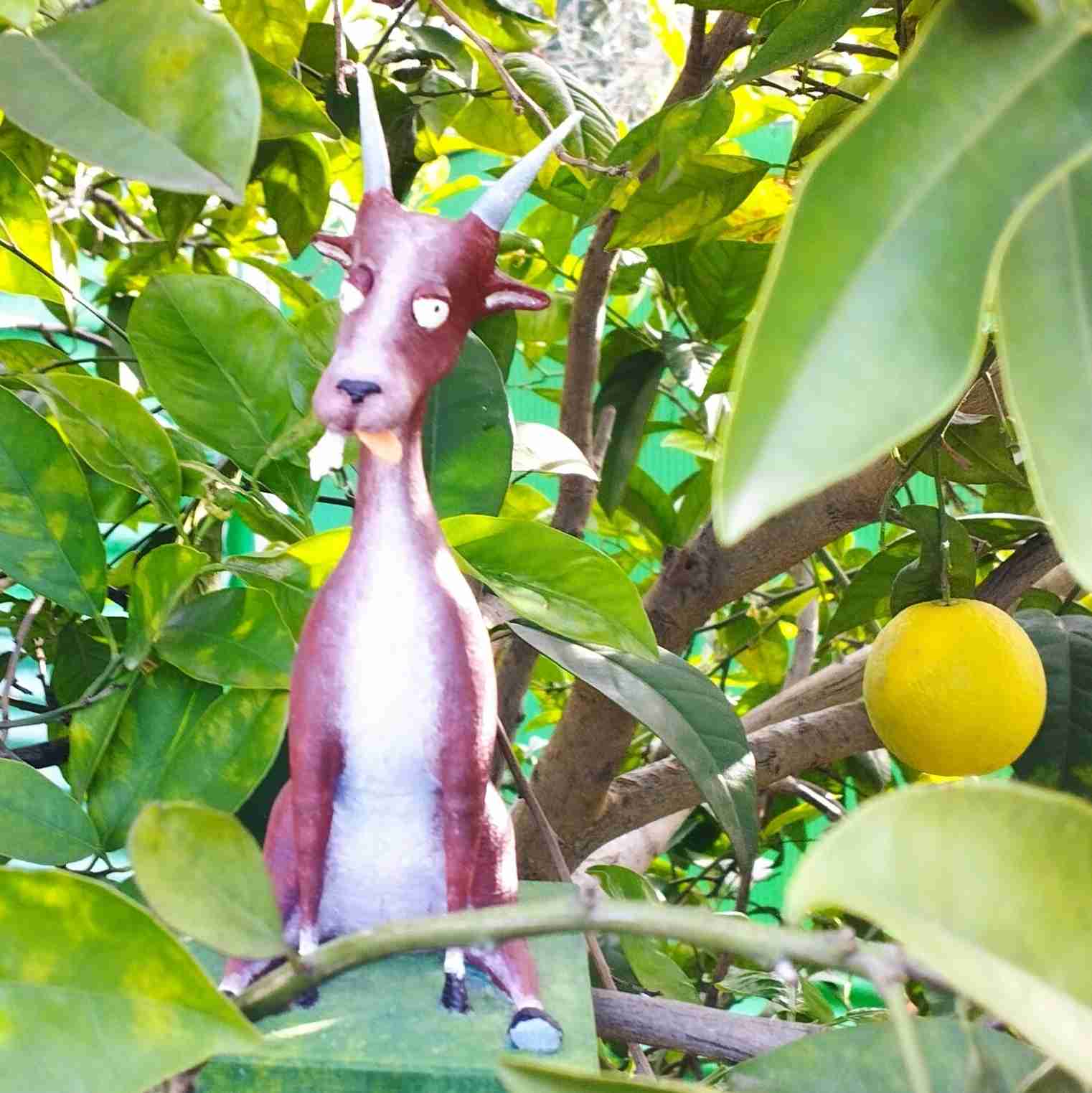 CRAZY GOAT CARTOON. ARTICULATE | 3D models download | Creality Cloud