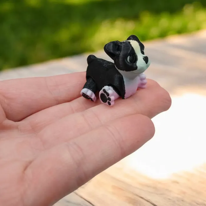 Boston Terrier Pup Articulated | 3D models download | Creality Cloud