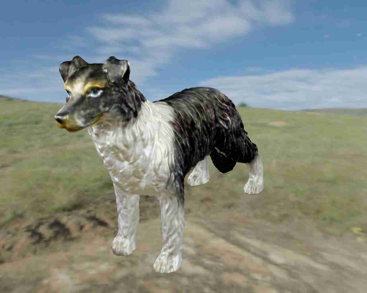 Dog Border Collie | 3D models download | Creality Cloud