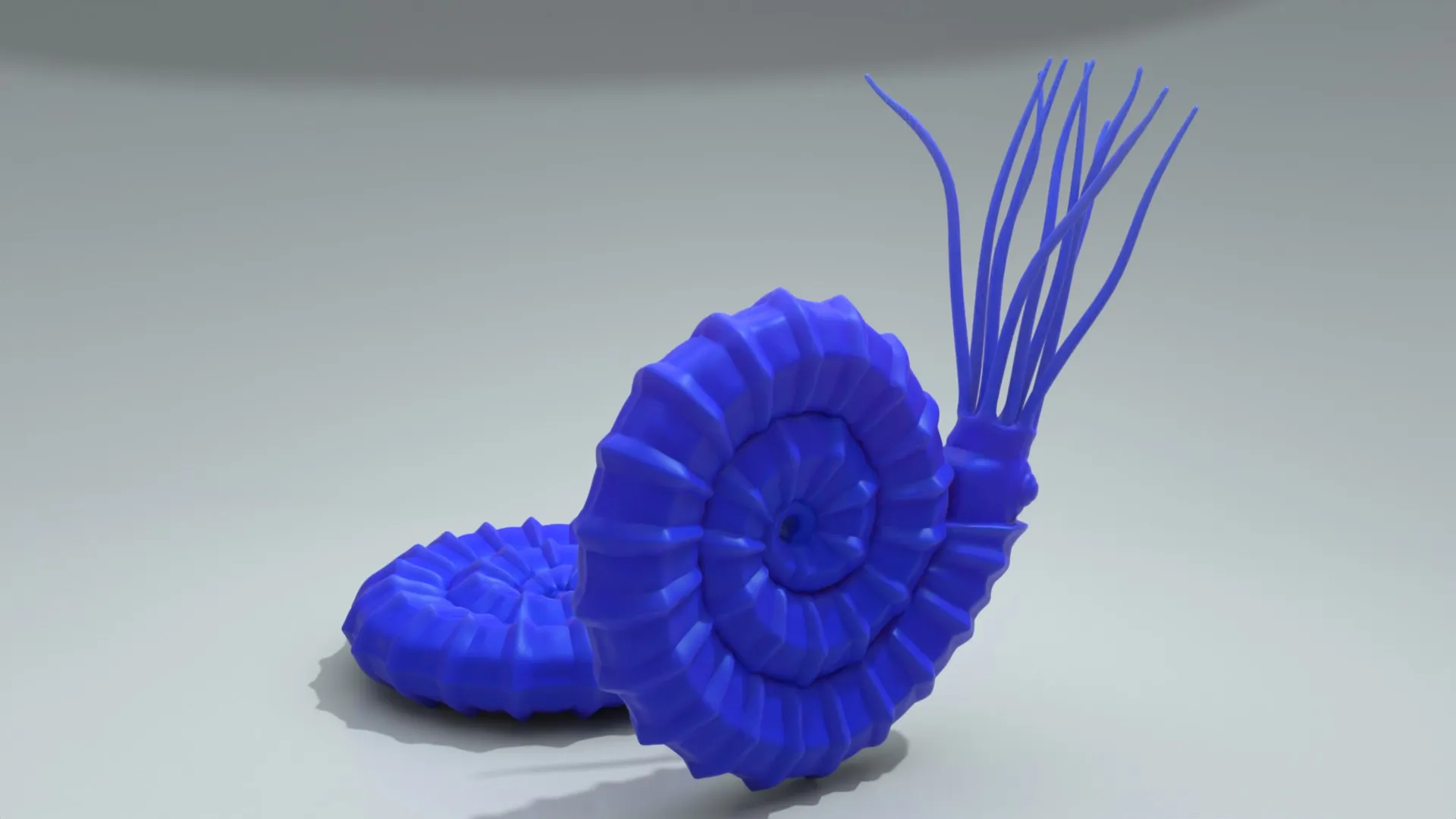 Characters & Creatures STL Download - Ammonite - Ammonoids printby arti4077