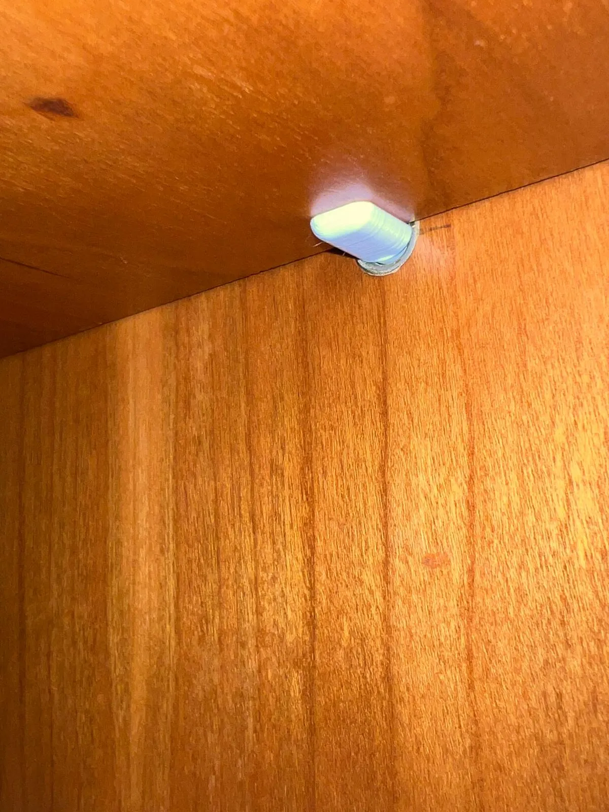 3D Printer Files | 3MF File | Shelf Pin | Creality Cloud