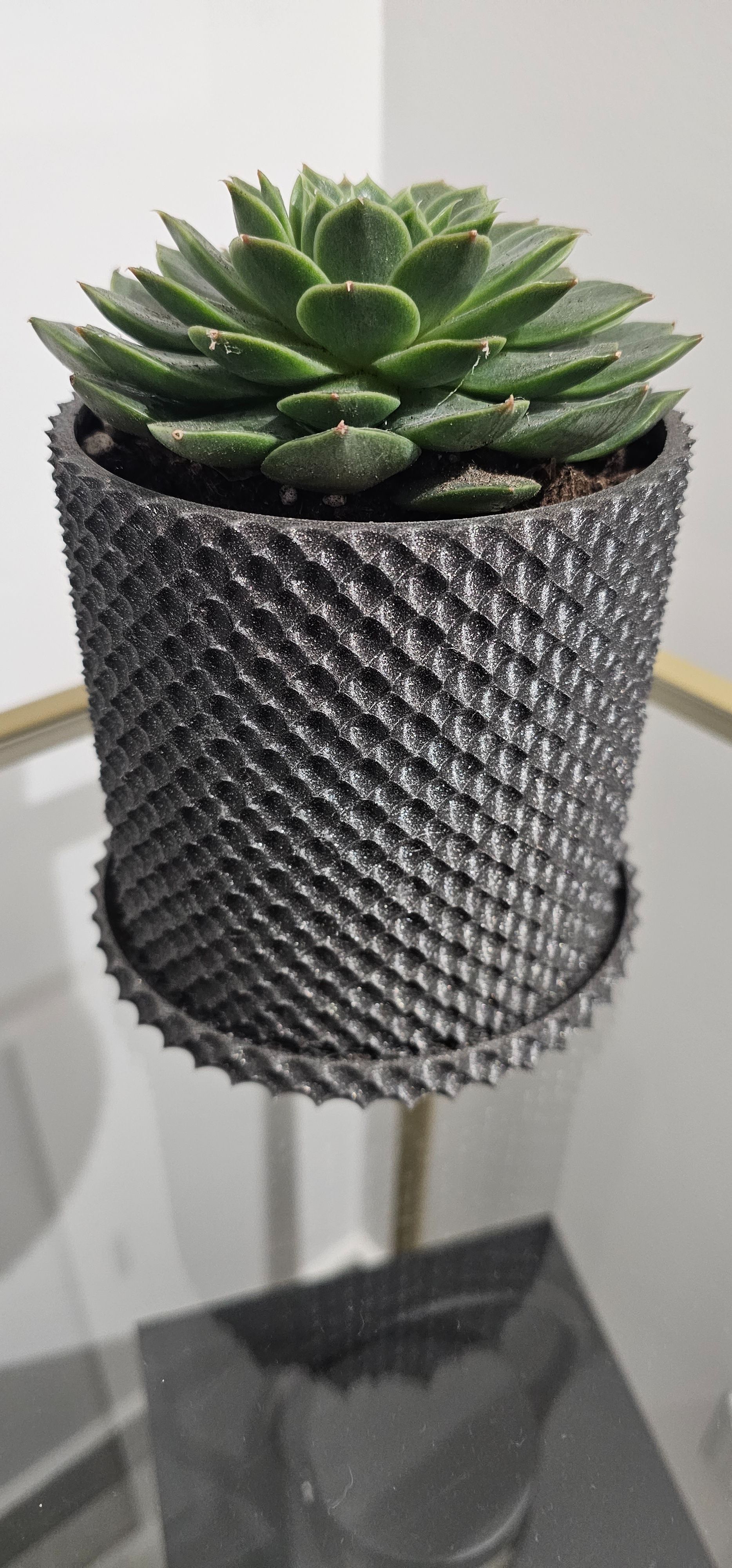 Pot Plant Design | 3D models download | Creality Cloud