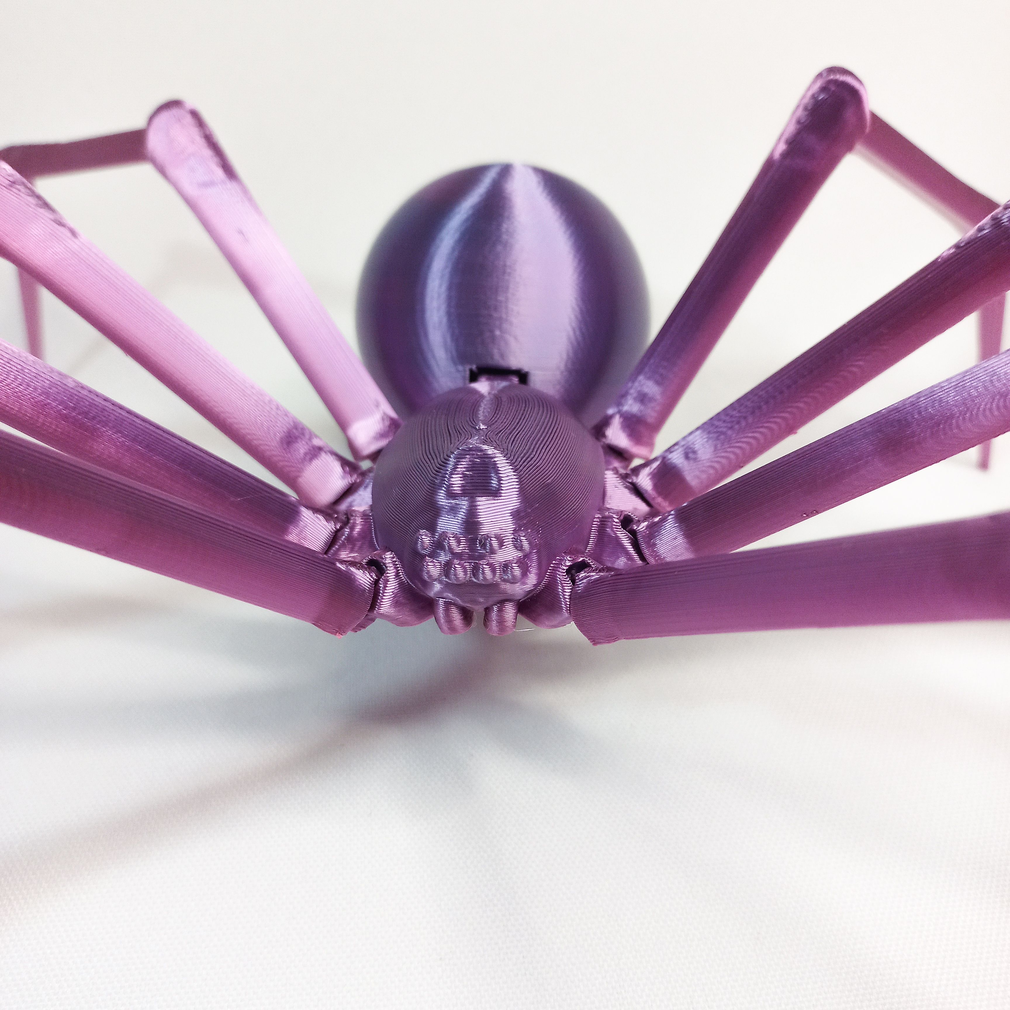 BLACK WIDOW SPIDER | 3D models download | Creality Cloud