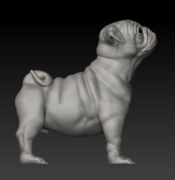 YOUNG PUG | 3D models download | Creality Cloud