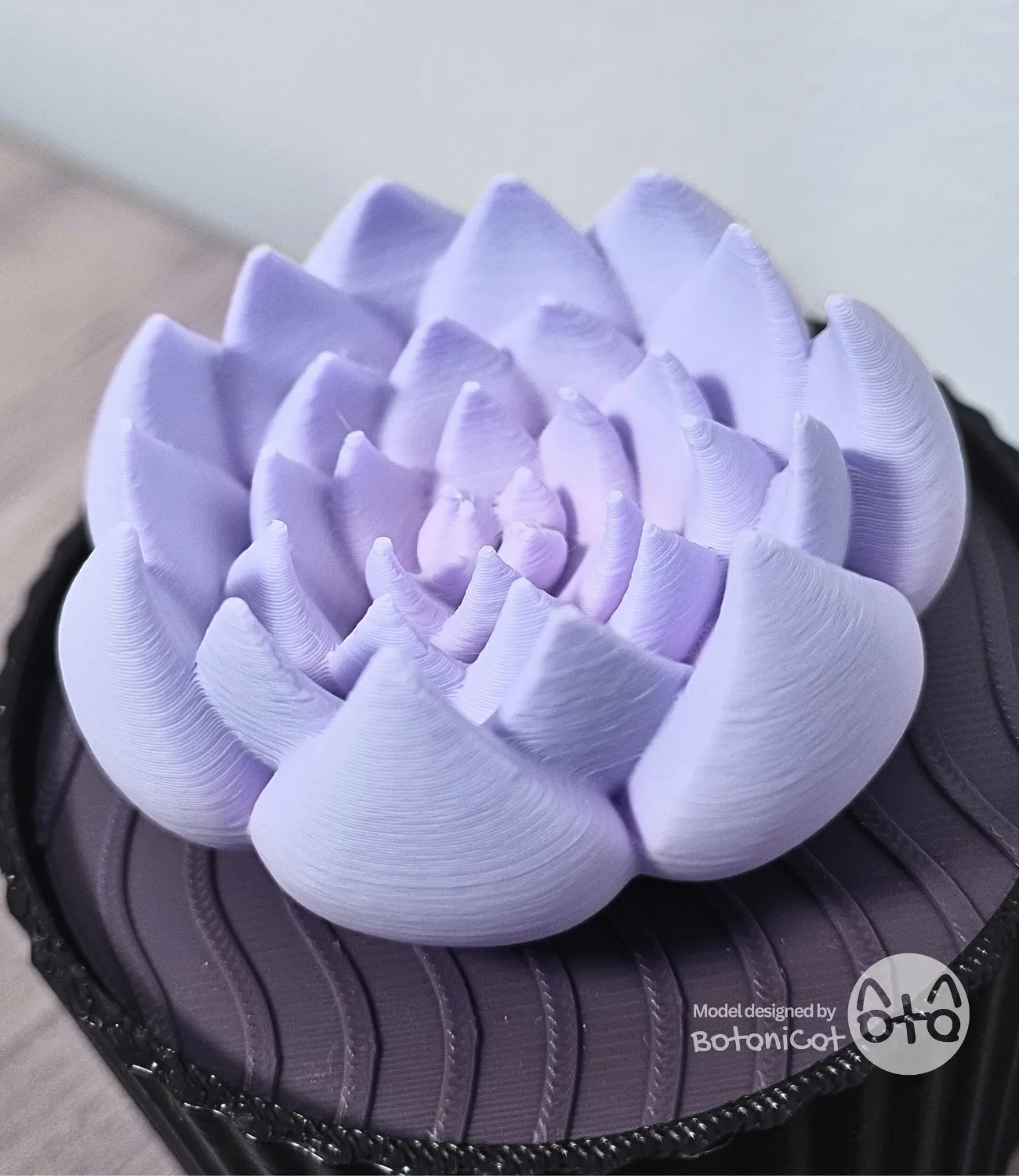 3D Printer Files | 3MF File | Succulents Box: Echeveria Crystal Rose ...