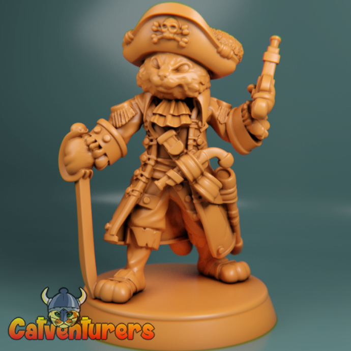 Pirate Captain Cat | 3D models download | Creality Cloud