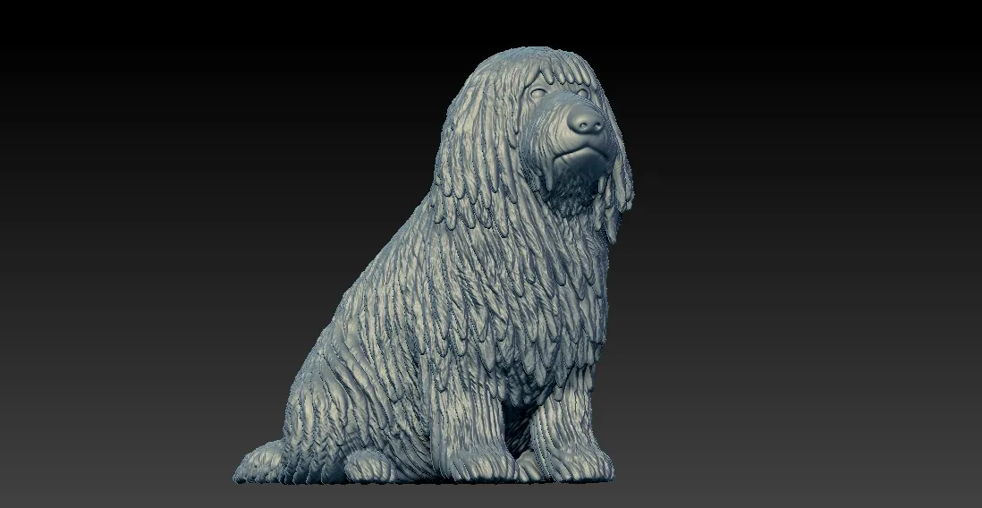 Characters & Creatures STL Download - Puli Dog - Hungarian Puli model ...