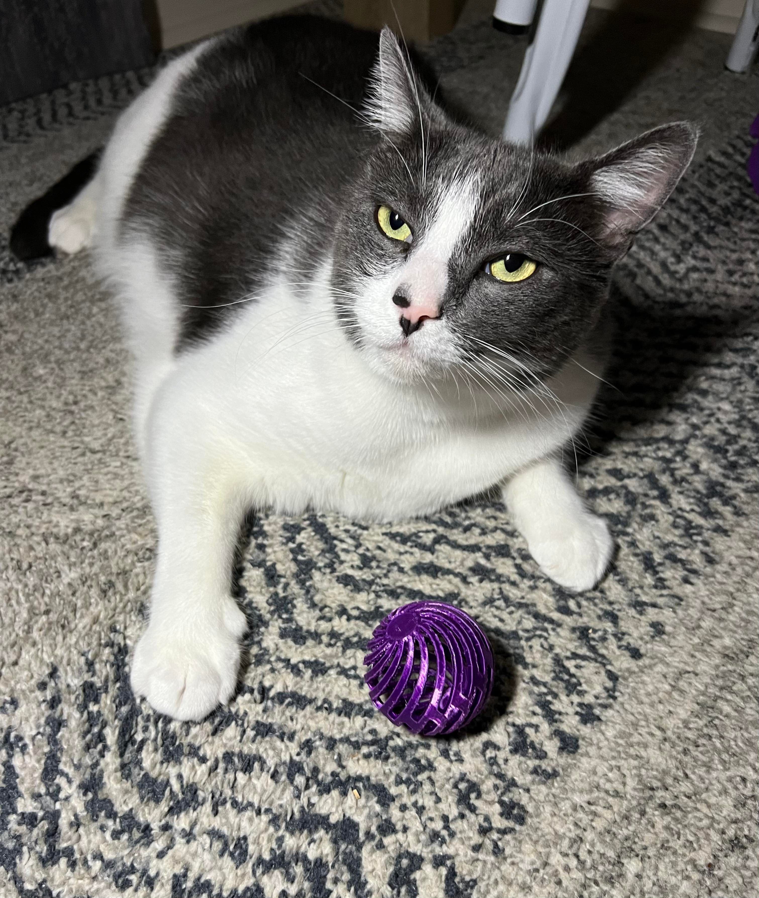 Cat toy | 3D modeller indir | Creality Bulutu