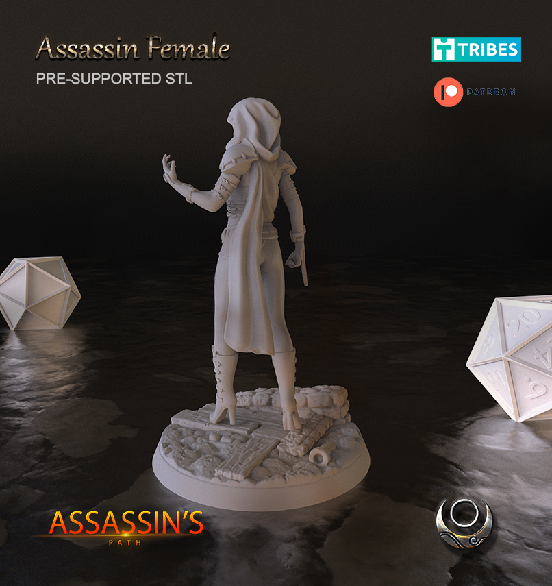 Assassin Female | 3D models download | Creality Cloud