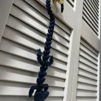 Fuzzy Dragon! I wanted to experiment with fuzzy skin settings in ...