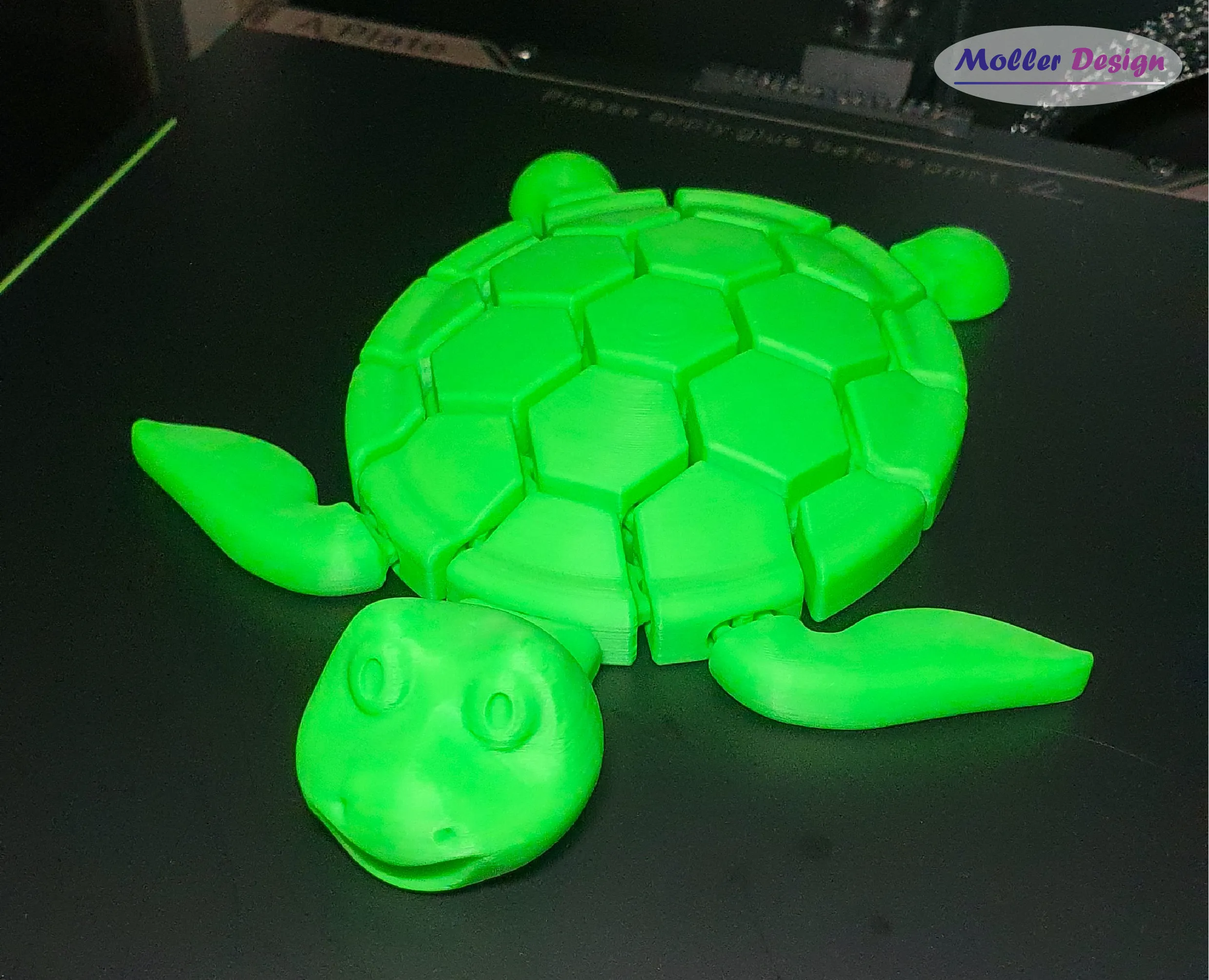 Other STL Descarga - Flexible turtle fidget - MollerDesign