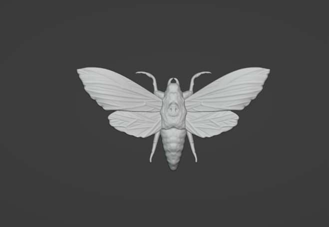 Moth Jewlery Pendant | 3D models download | Creality Cloud
