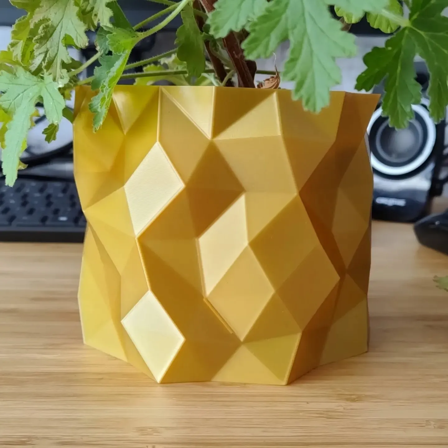 Free Home Decorations & Ornaments STL Download - LowPoly Shatter Plant ...