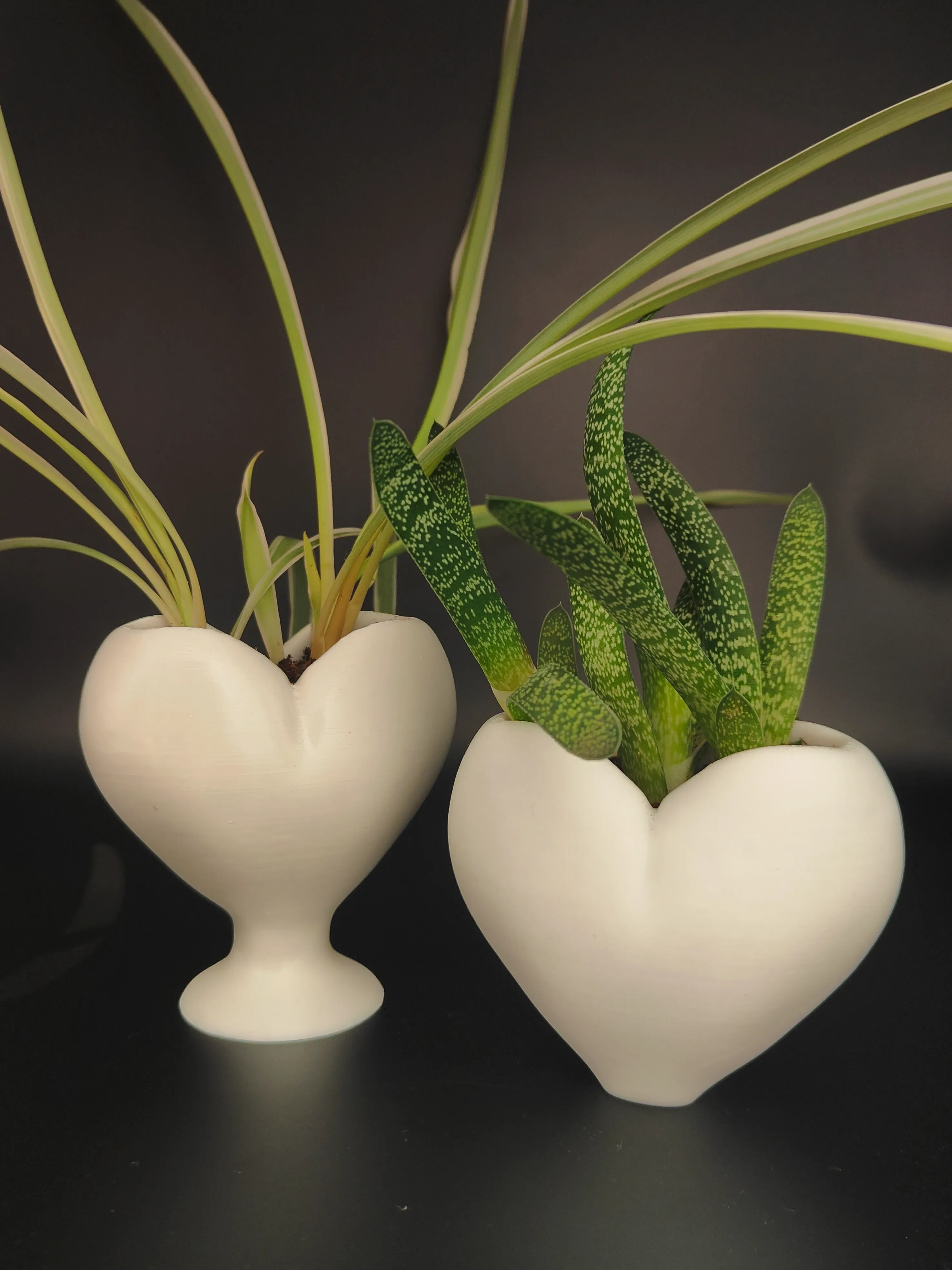 Home Decor STL Descarga - Minimalistic Heart Planter - Project Filament