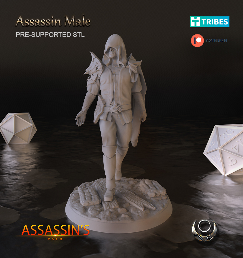 Assassin Male | 3D models download | Creality Cloud