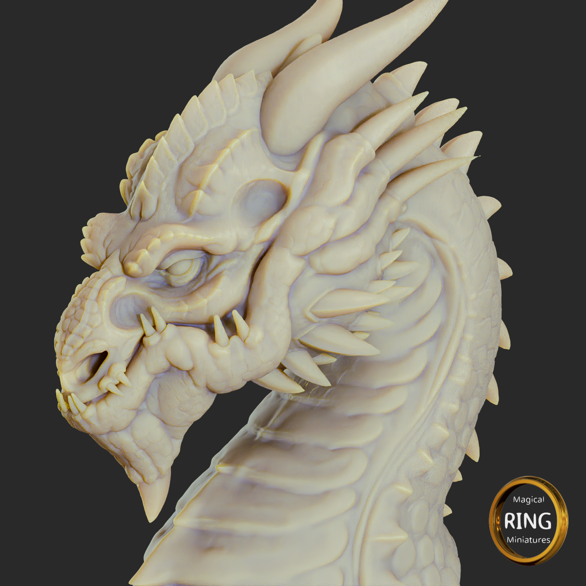 Elder Dragon bust | 3D models download | Creality Cloud