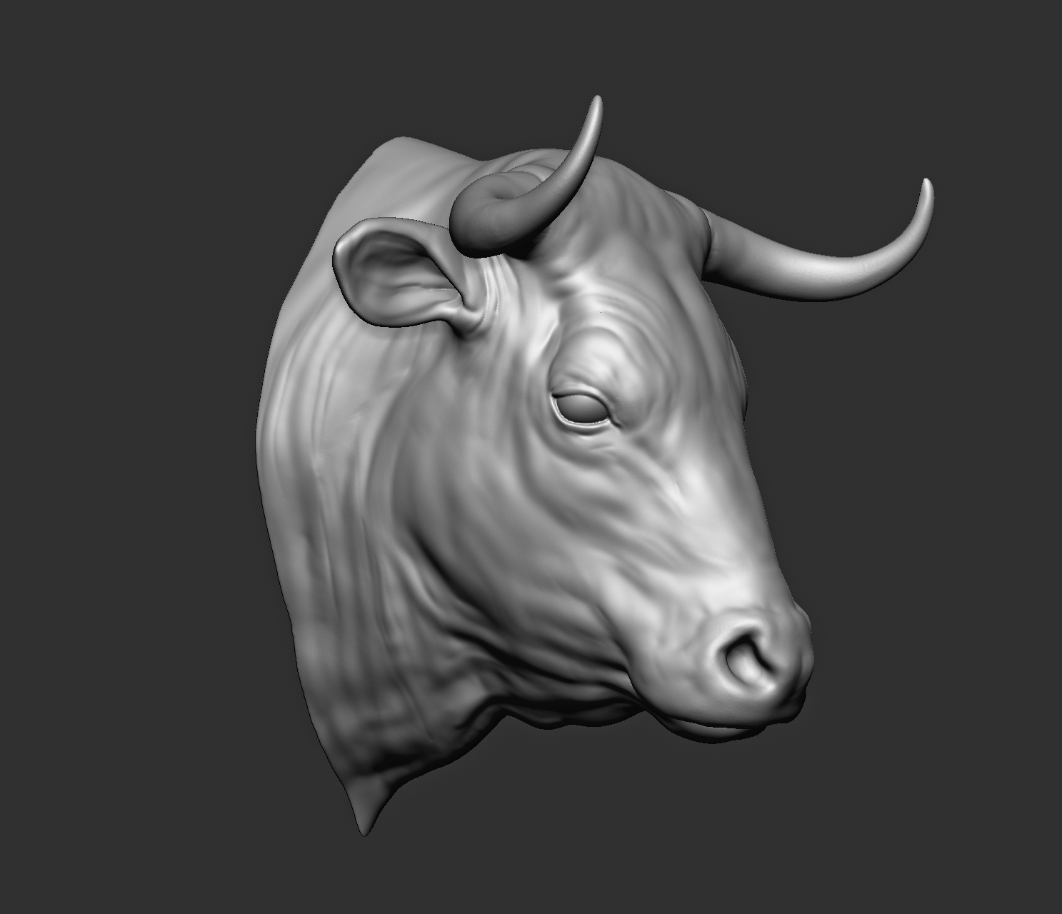 Bull head | 3D models download | Creality Cloud