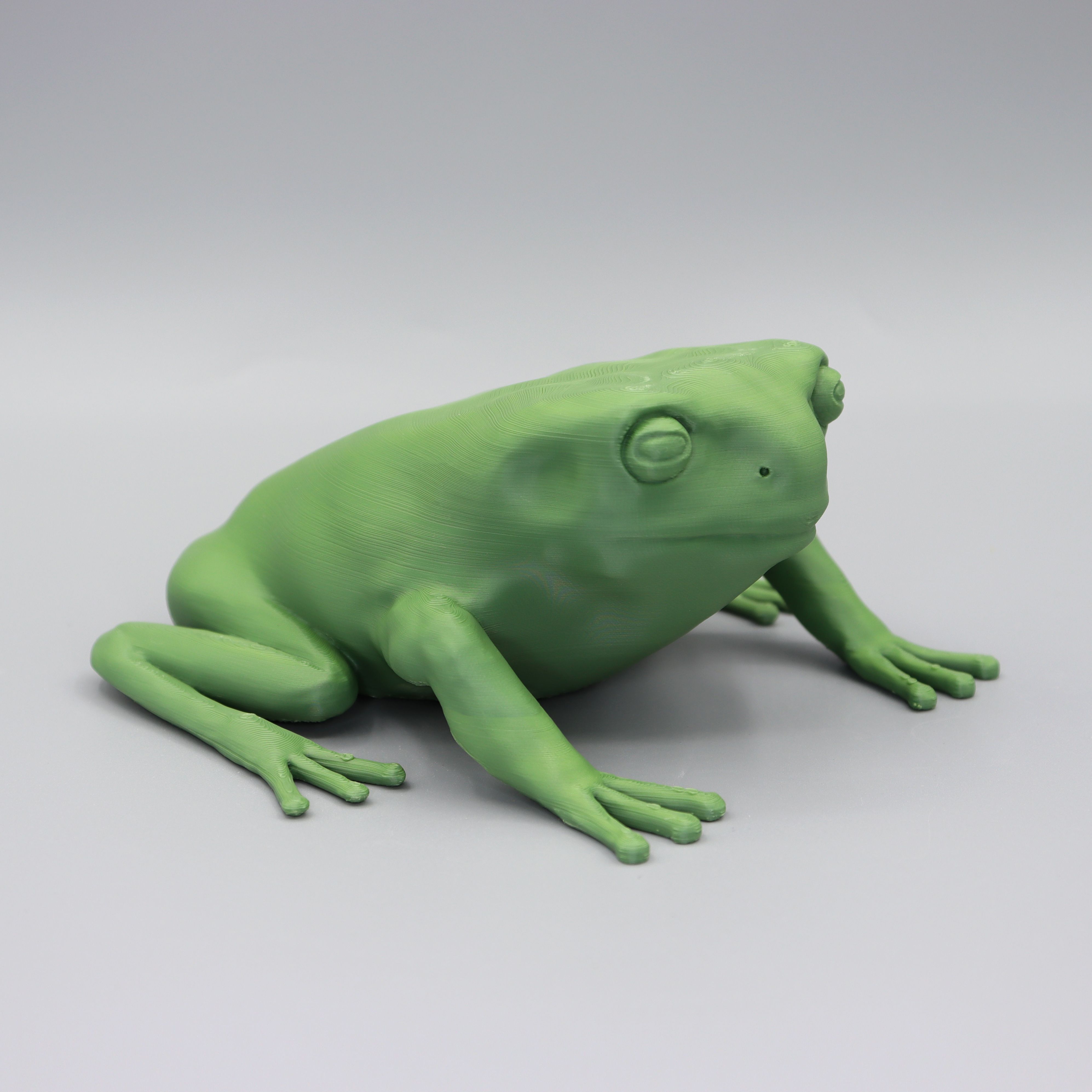 Green tree frog HD | 3D models download | Creality Cloud