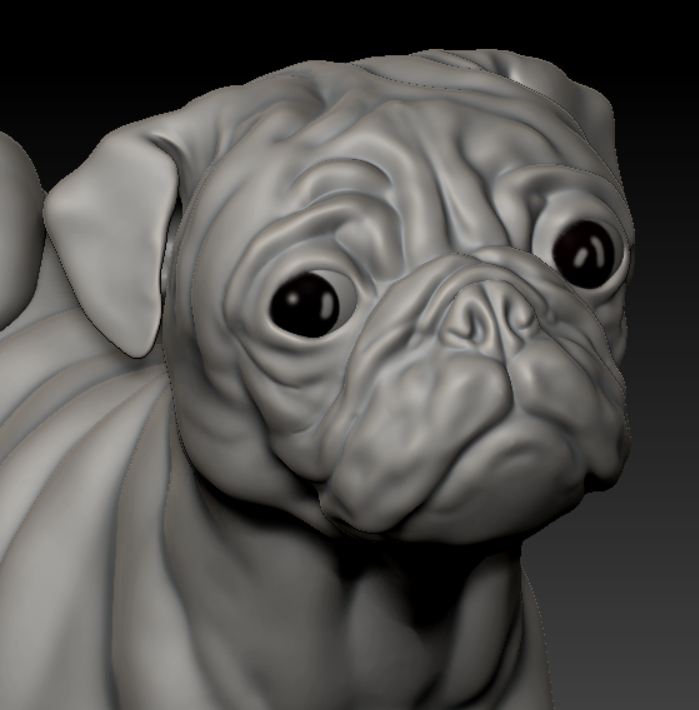 YOUNG PUG | 3D models download | Creality Cloud