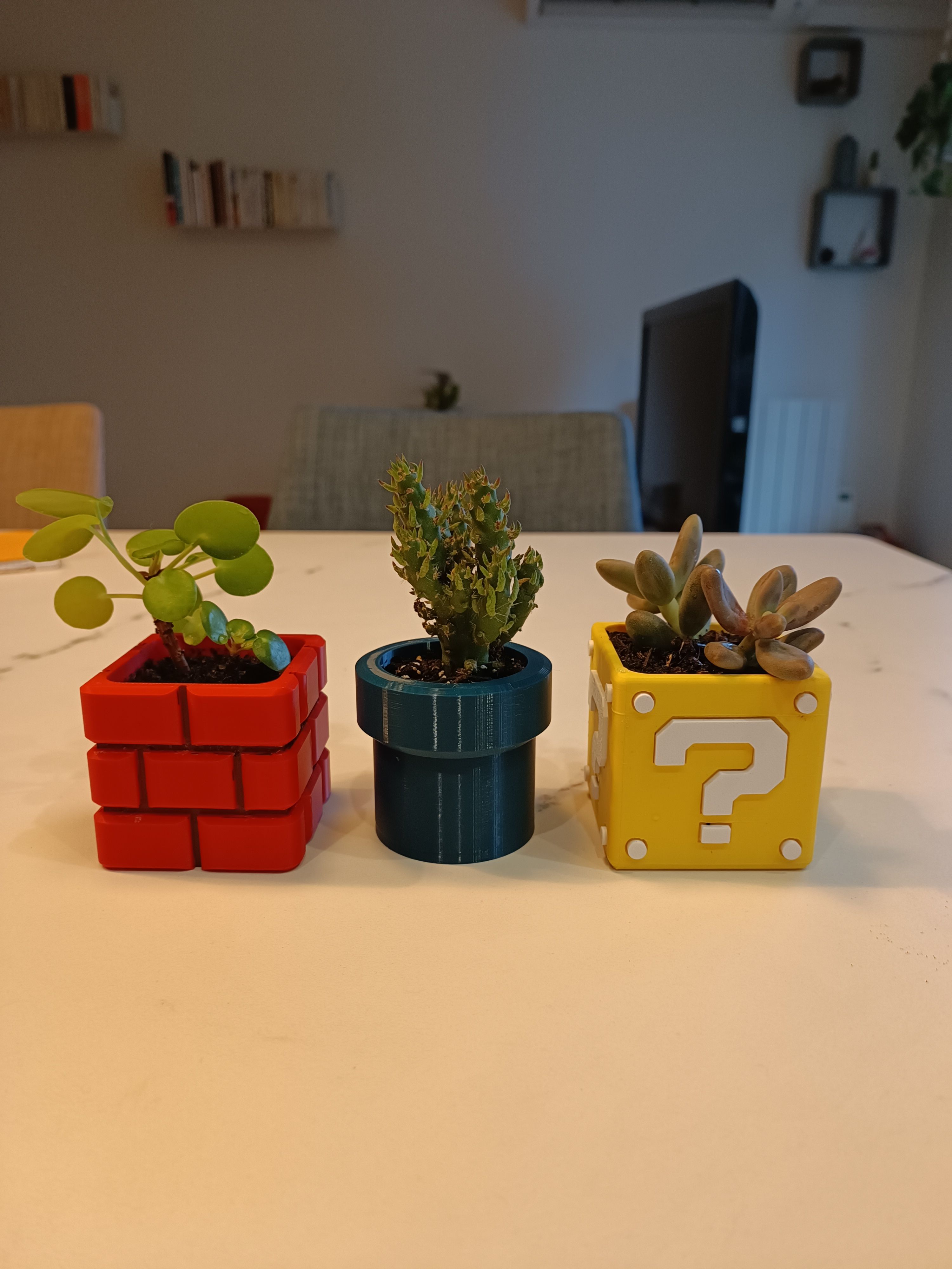 Small mario flower pots - Petits pots de fleur mario | 3D models ...