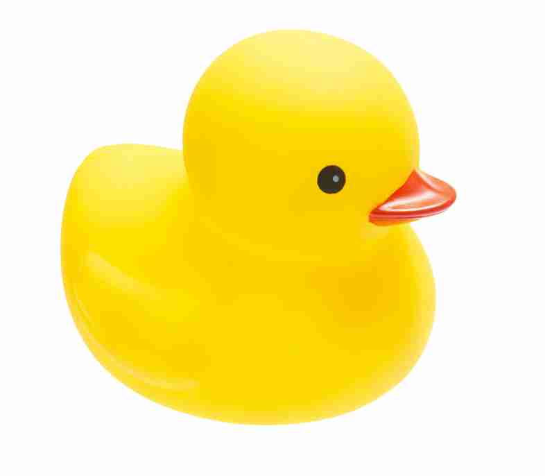 yellow duck | 3D models download | Creality Cloud