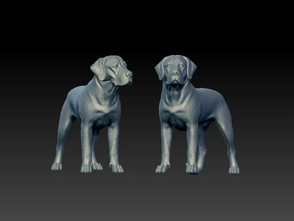 Characters & Creatures STL Descarga - Labrador Retriever statue ...