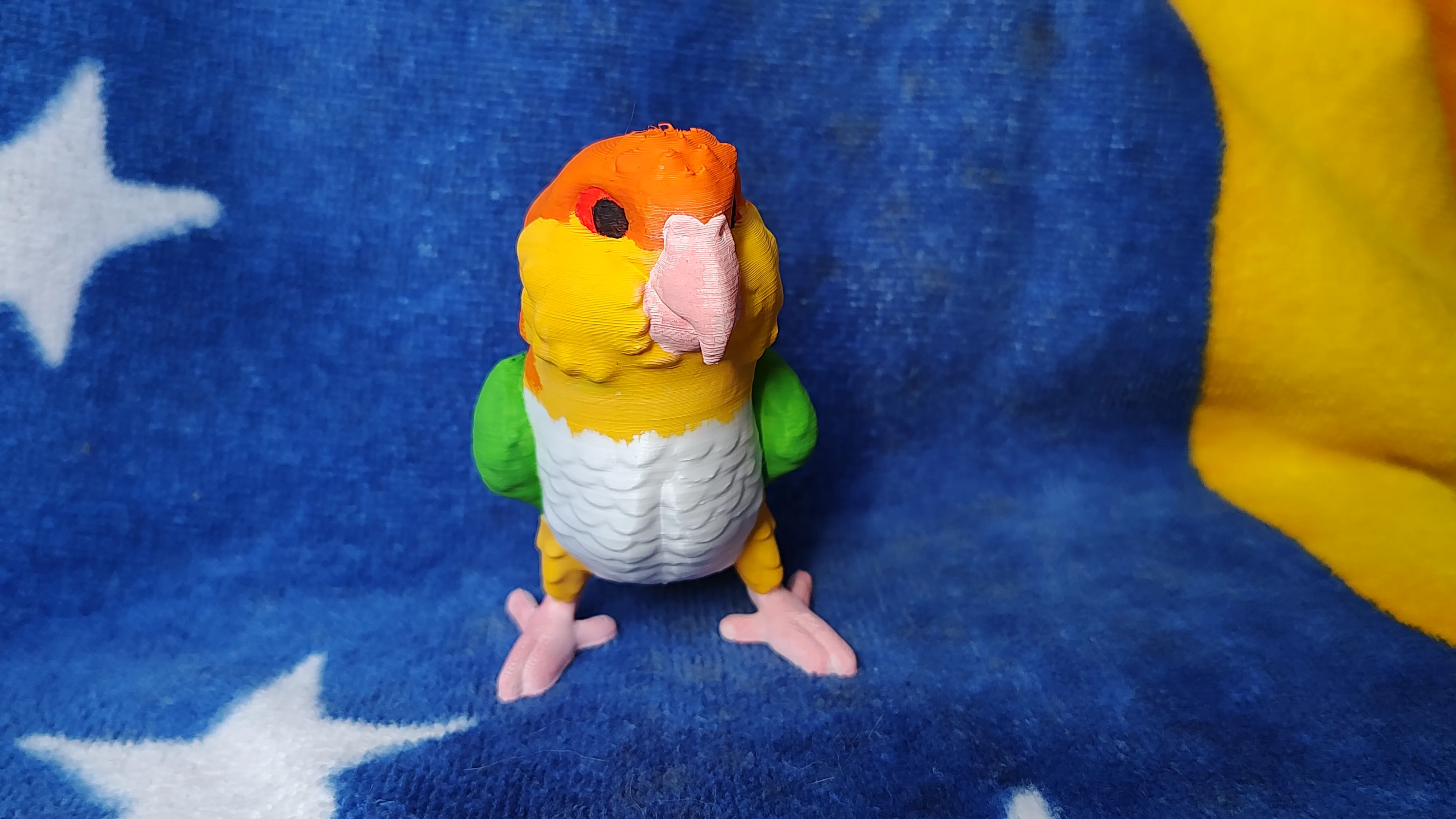 Caique | 3D models download | Creality Cloud